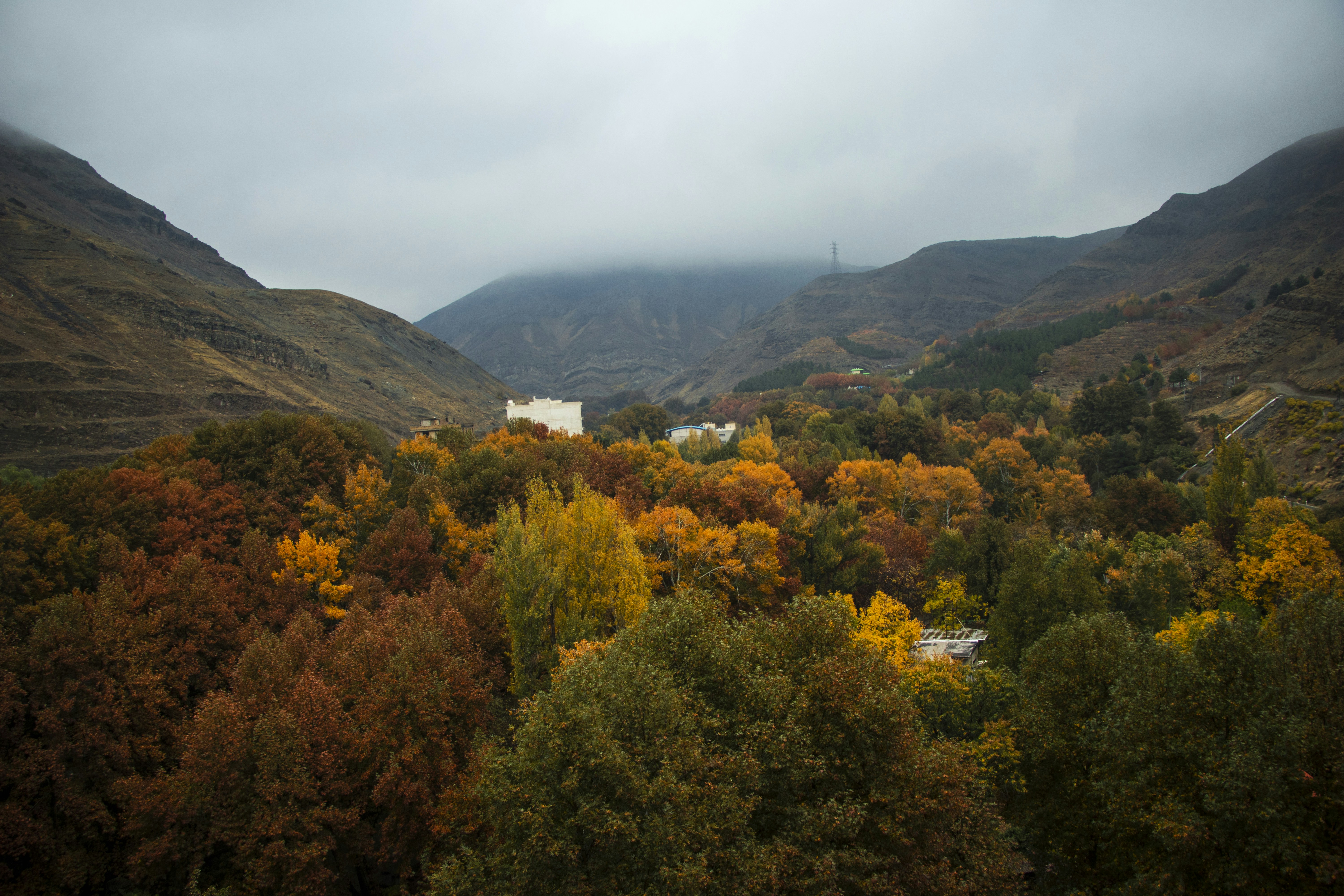 White Beacon in a Valley of Copper and Gold