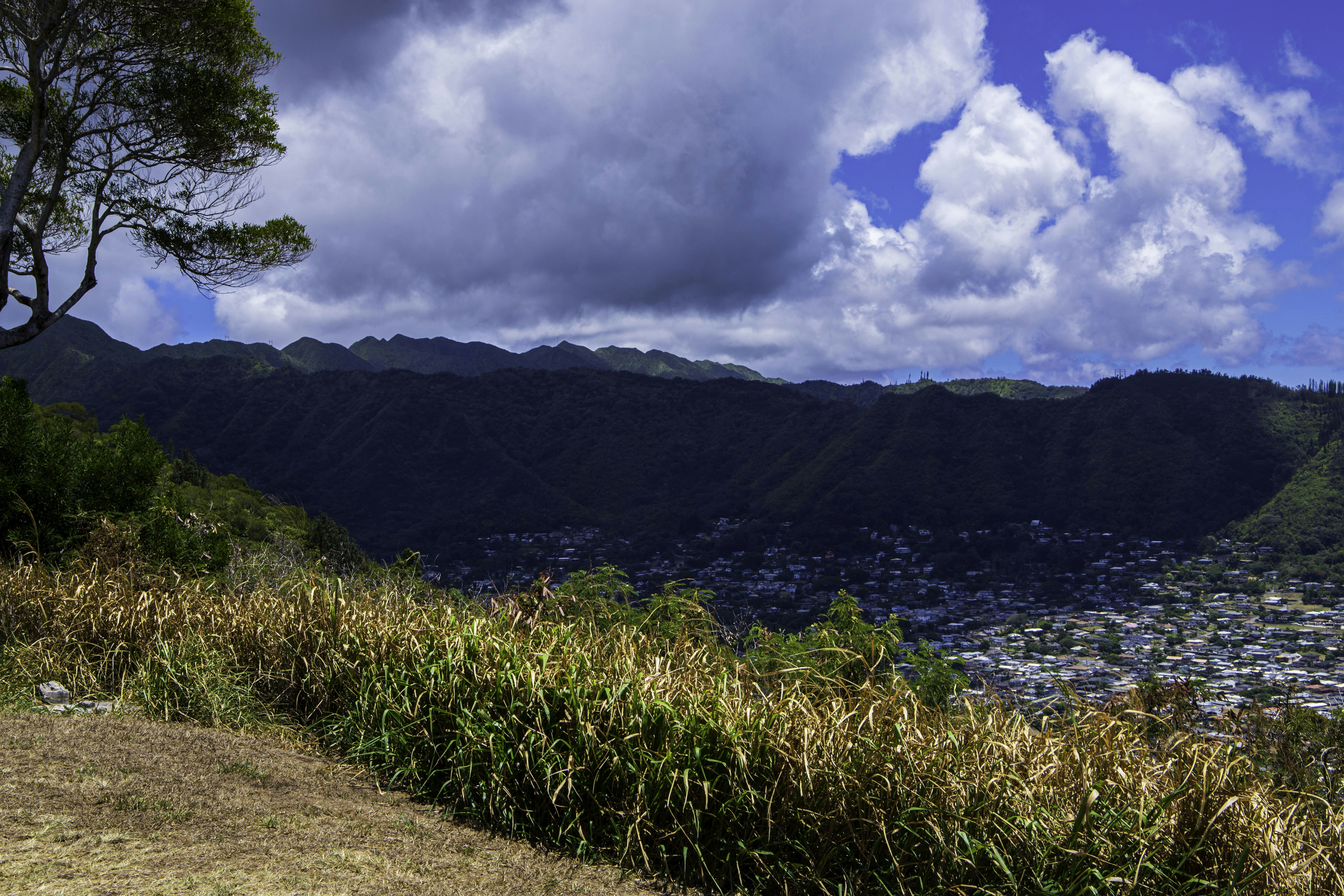 A river running through a valley photo – Free Honolulu Image on Unsplash