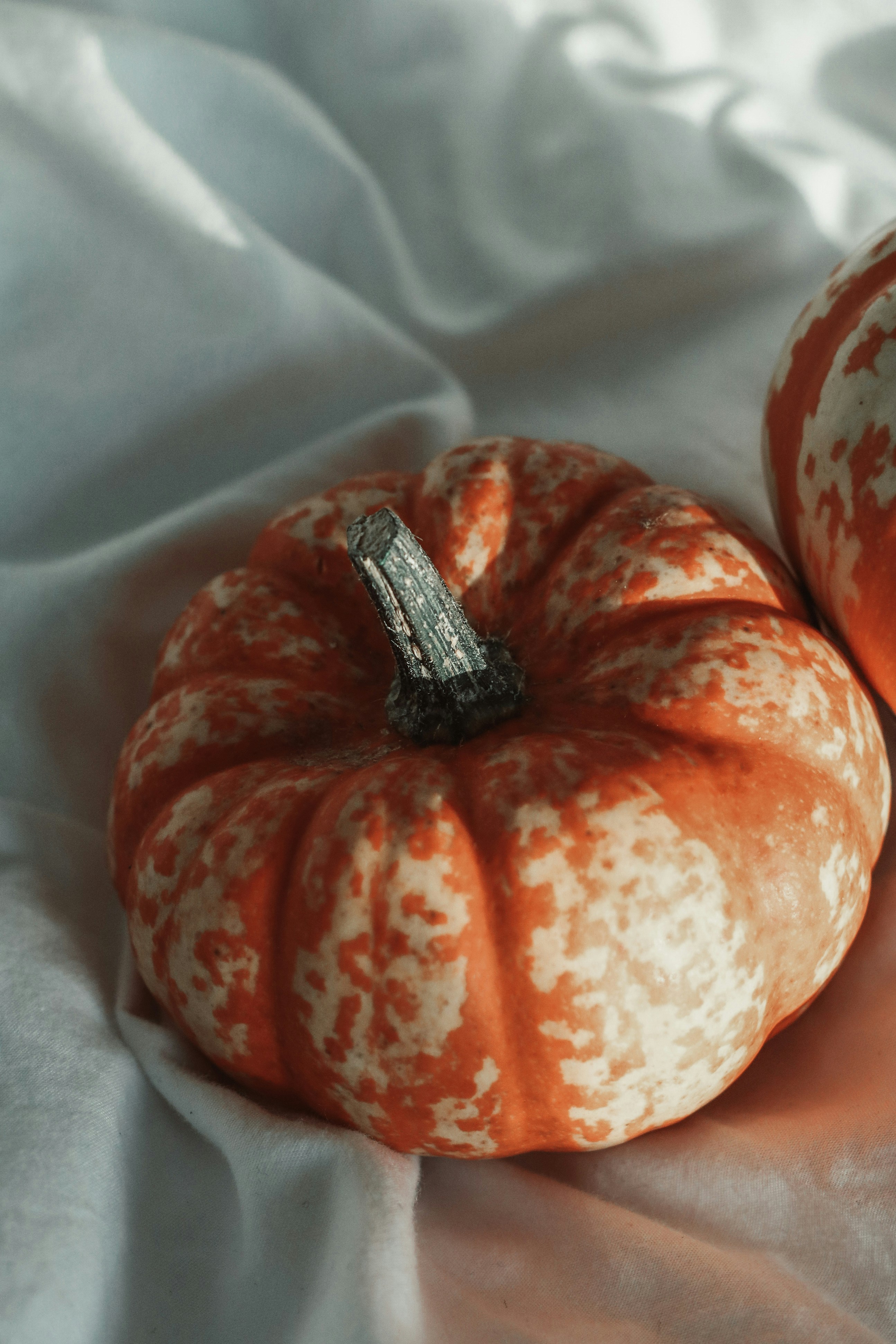 a ring on a piece of bread