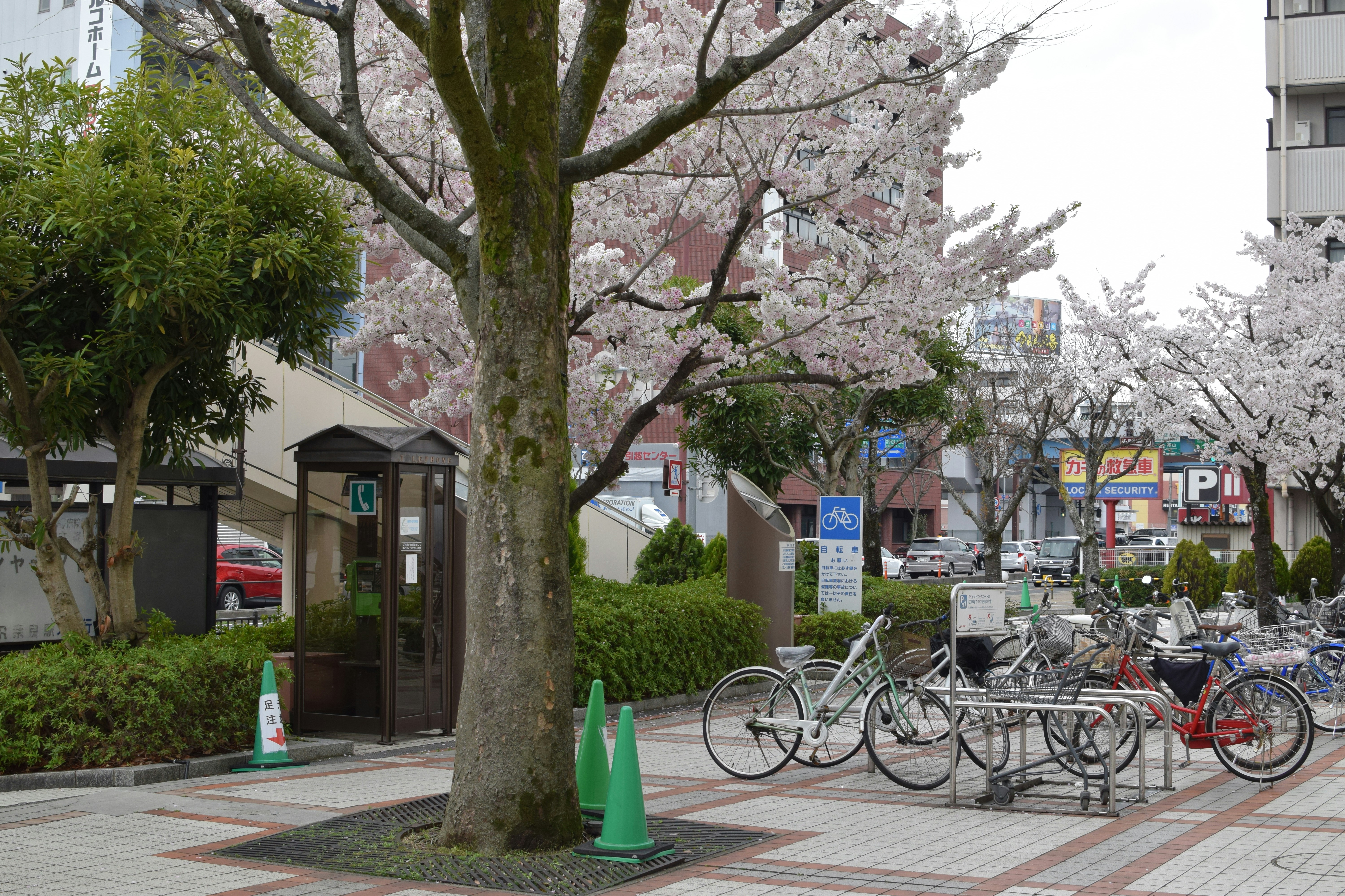 Photo by Sergey Konstantinov with Nikon D3300