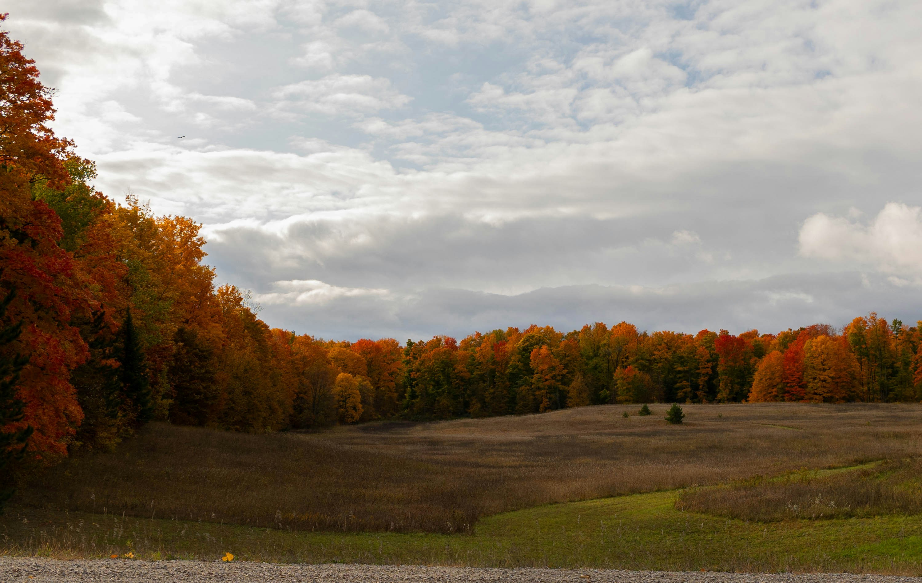 45,628+ Fall Landscape Pictures | Download Free Images on Unsplash