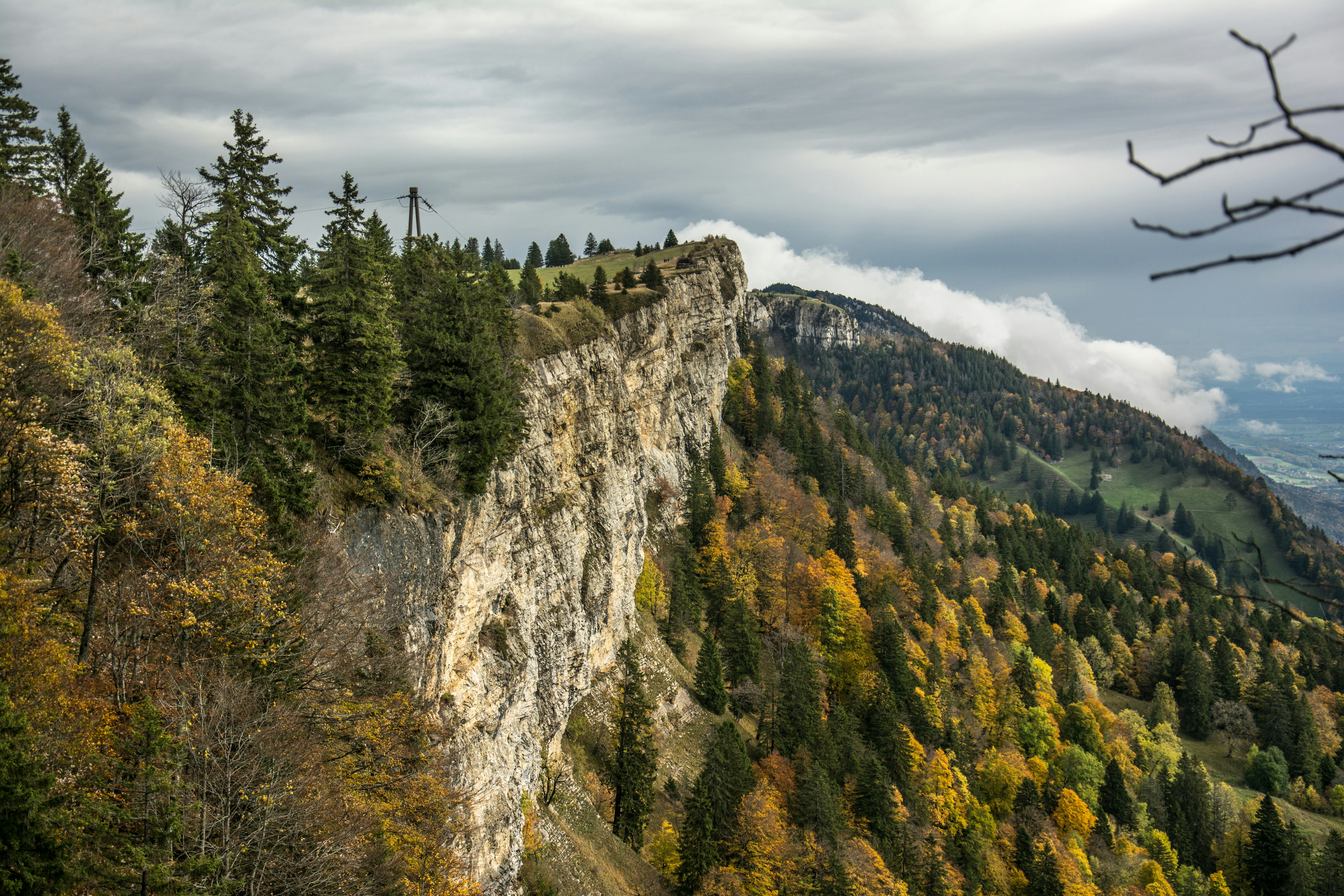 A rocky cliff with trees on it photo – Free Switzerland Image on Unsplash