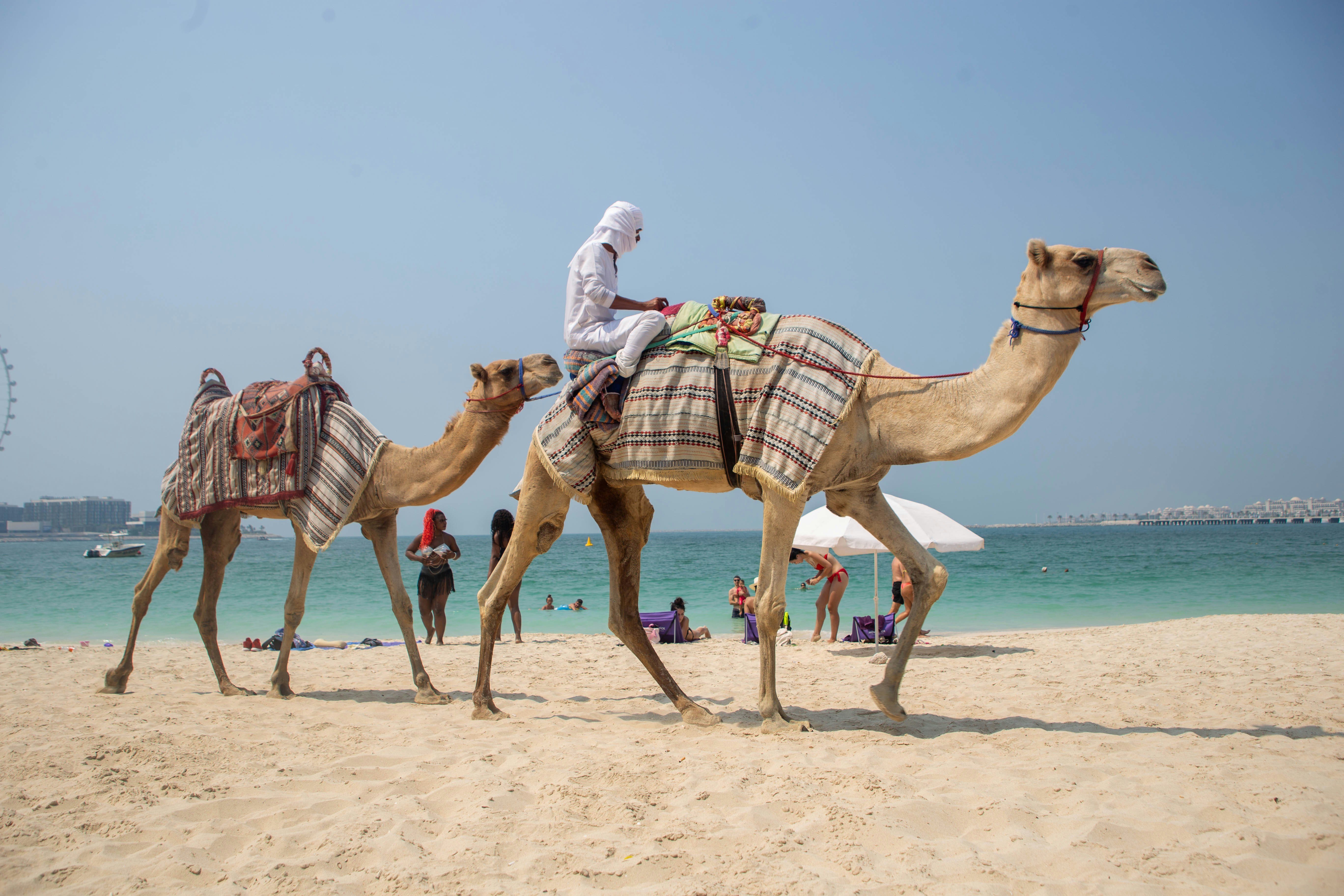 a person riding a camel on a beach
