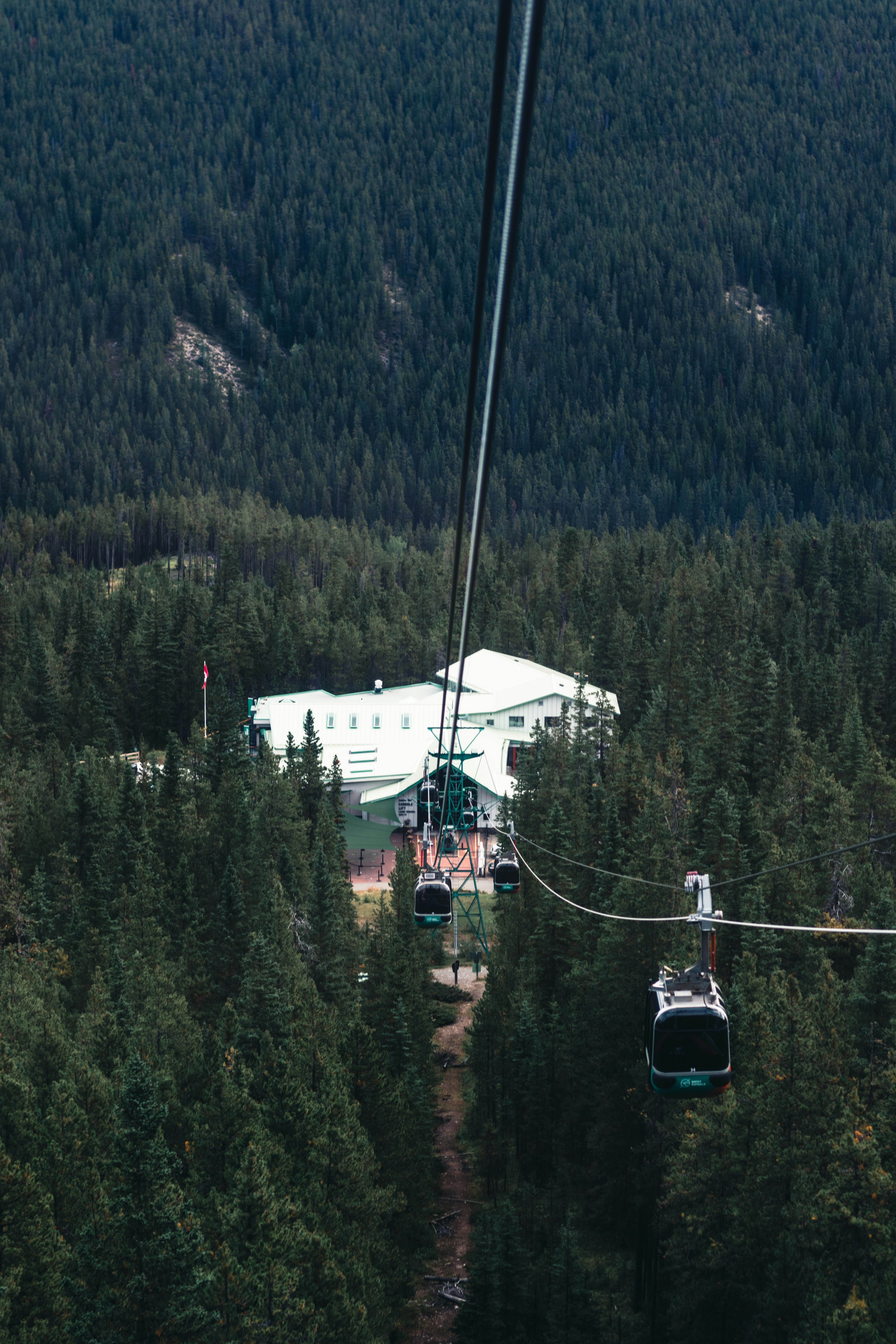 Un téléphérique au-dessus d’une forêt photo – Image gratuite de Canada ...