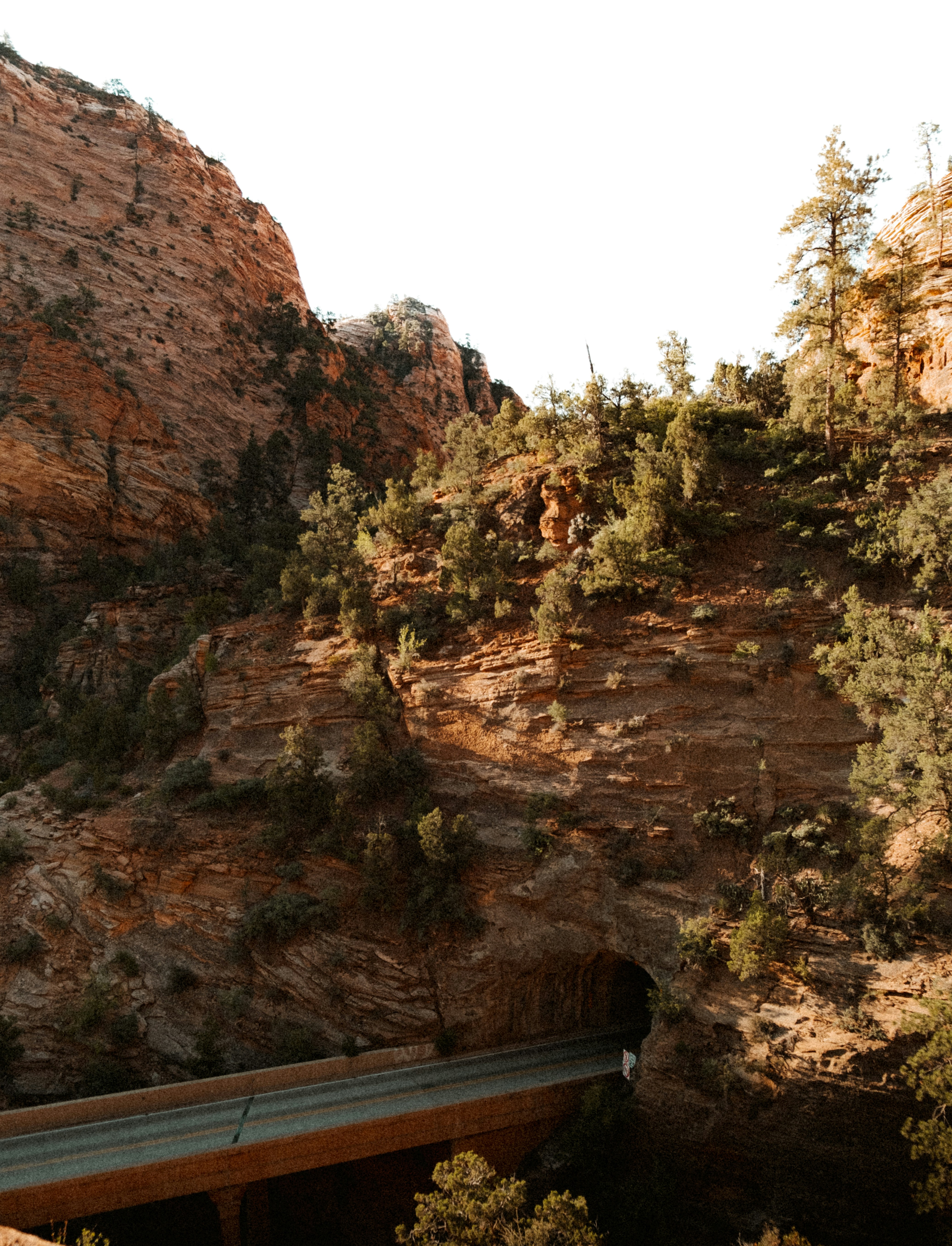 A rocky cliff with trees photo – Free Zion national park Image on Unsplash
