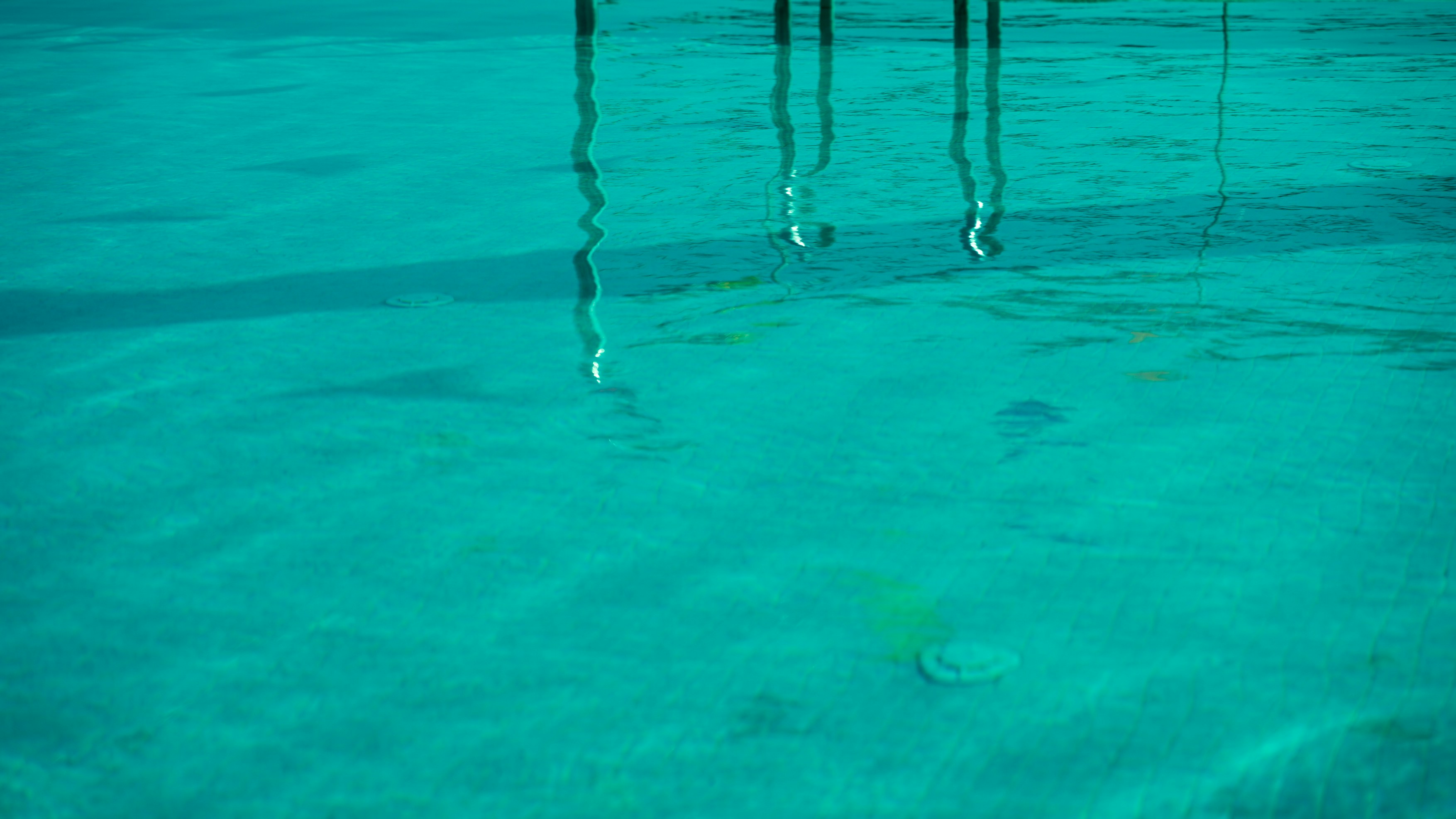 A group of sticks in the water photo – Free Wallpaper Image on Unsplash