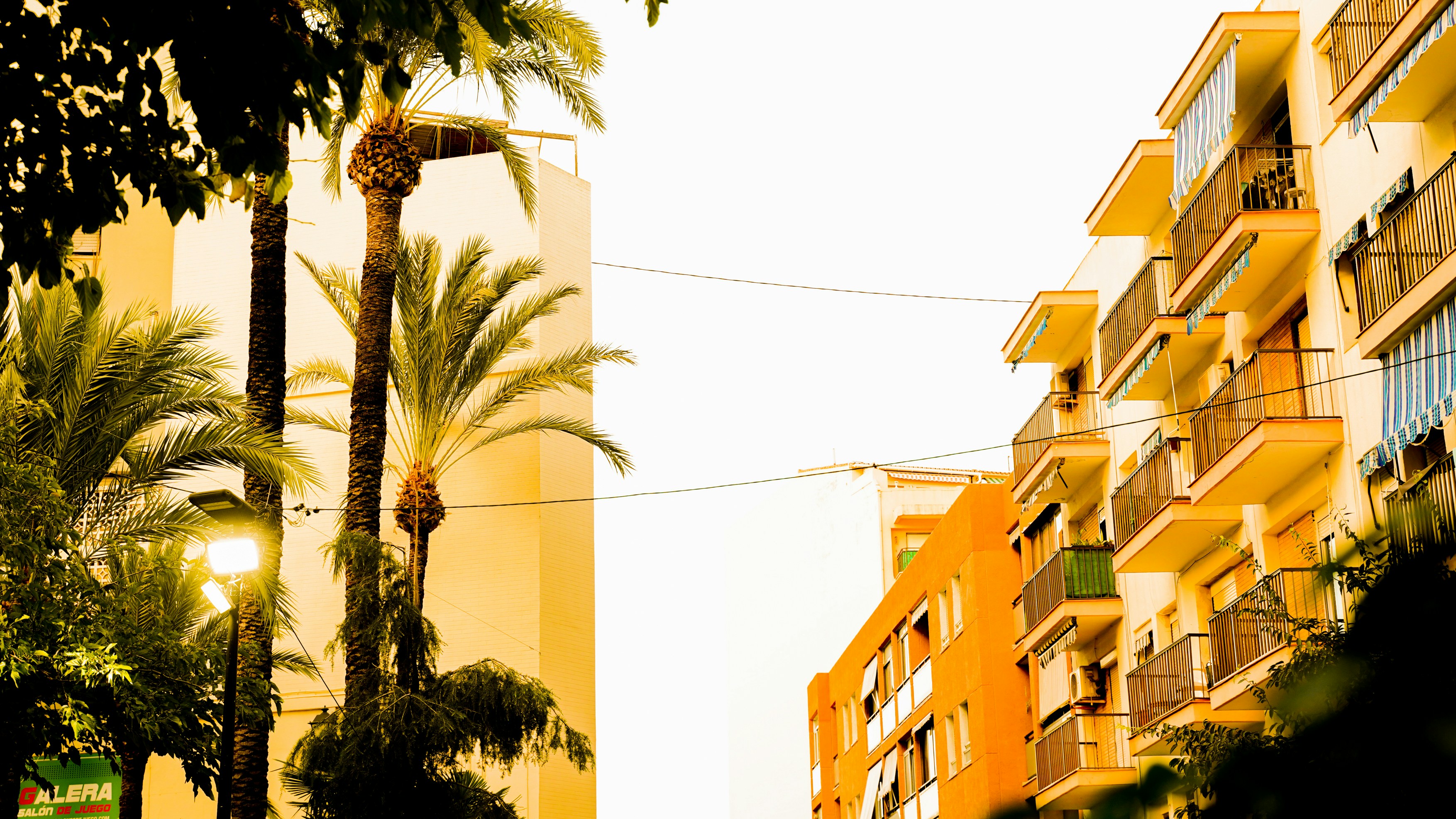 Photo by Julian Tong with Sony Alpha 7 III