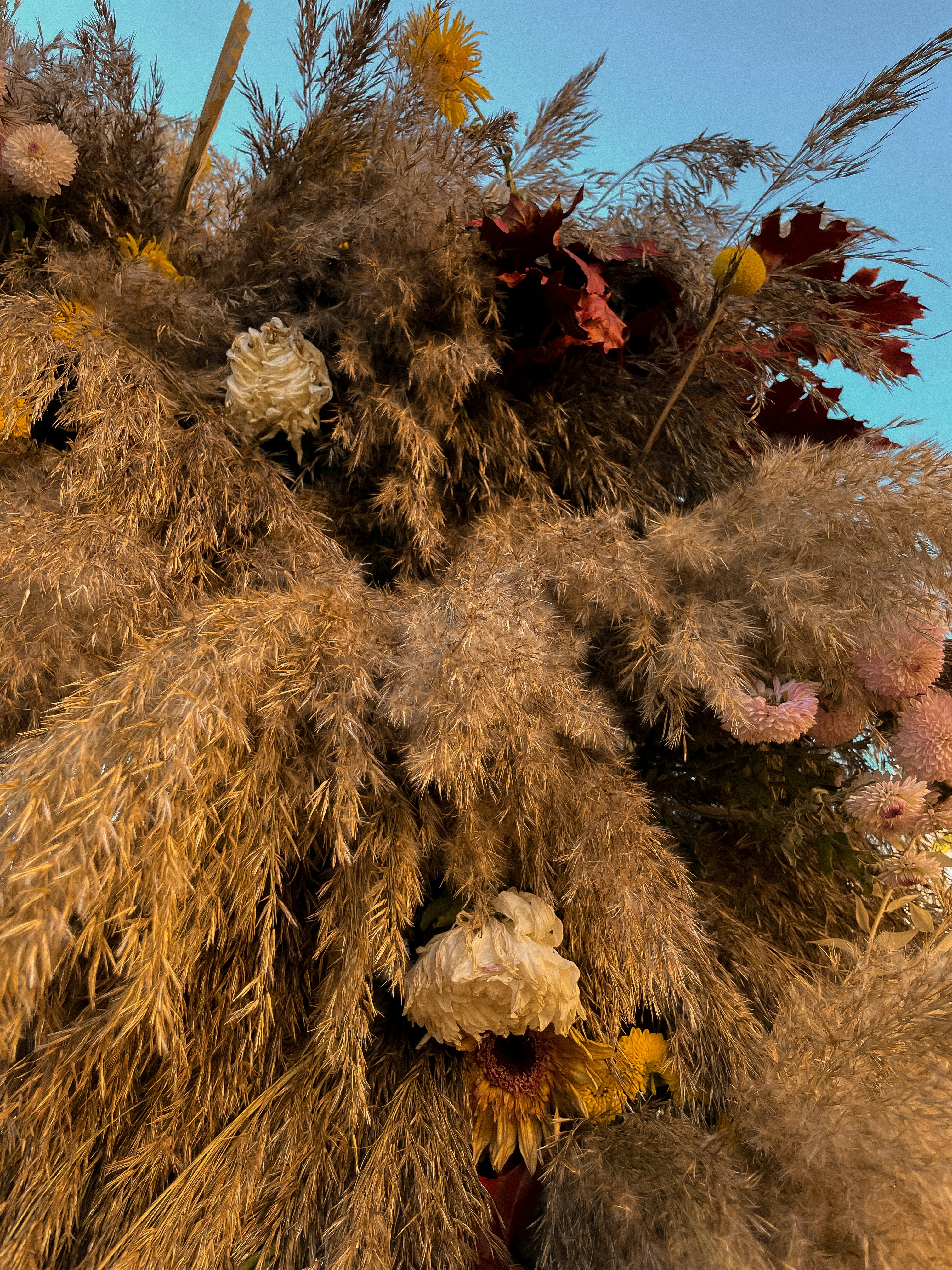 Autumn Whisper: Close-Up of Dried Bouquet Textures Against a Clear Sky