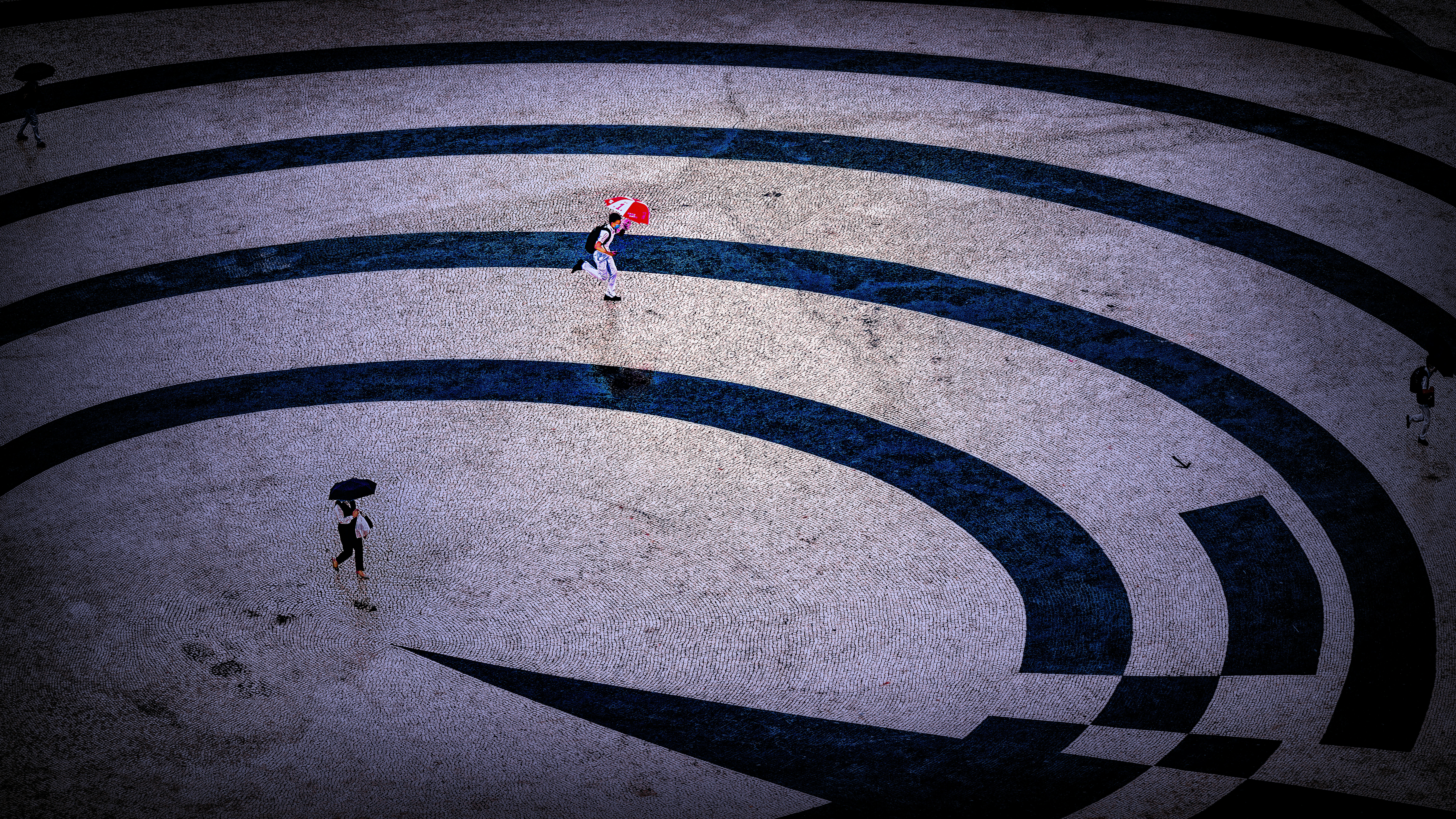 Photo by kt Leung with Sony Alpha 7R IV