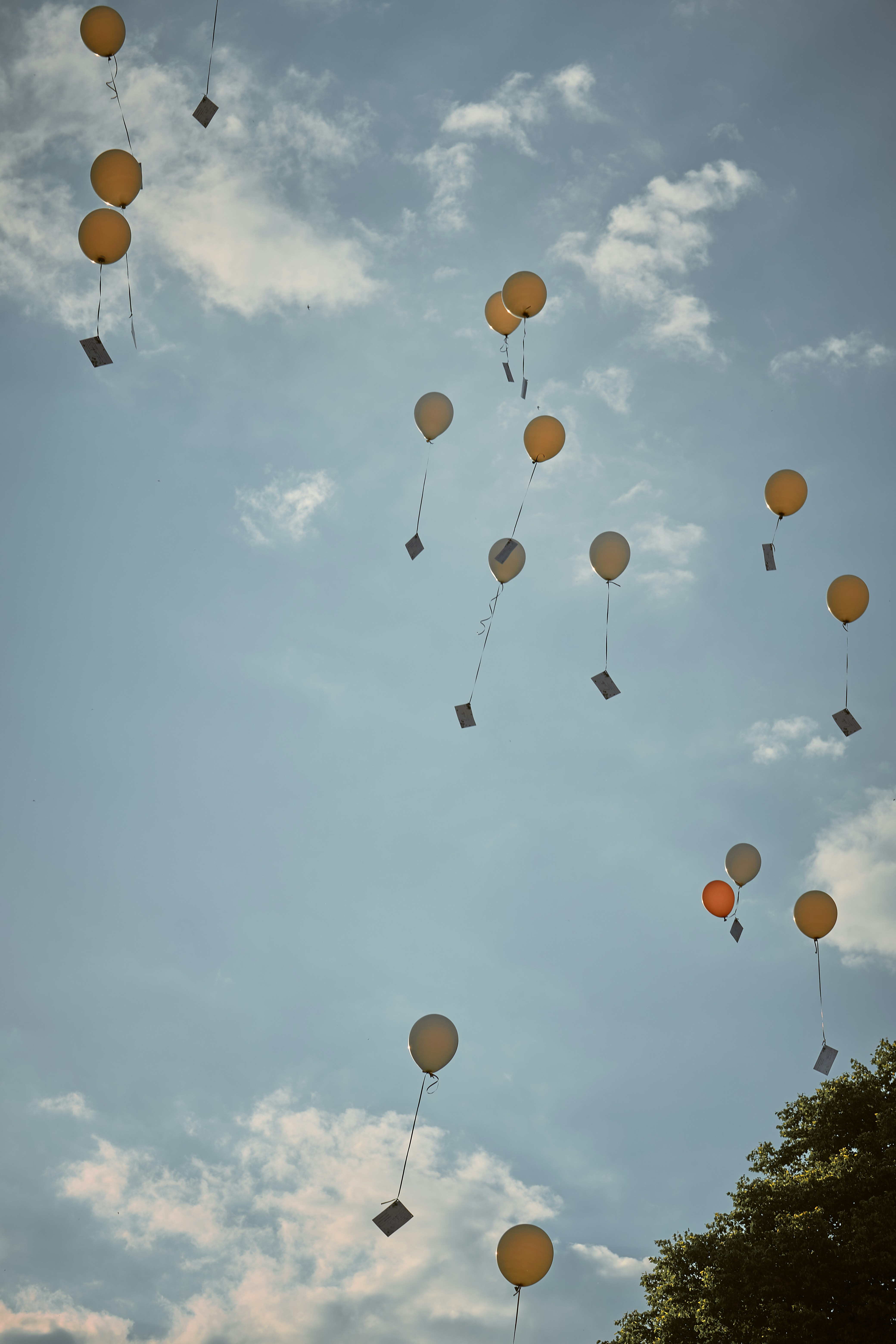 Messages in the Sky: A Balloon Release Ceremony