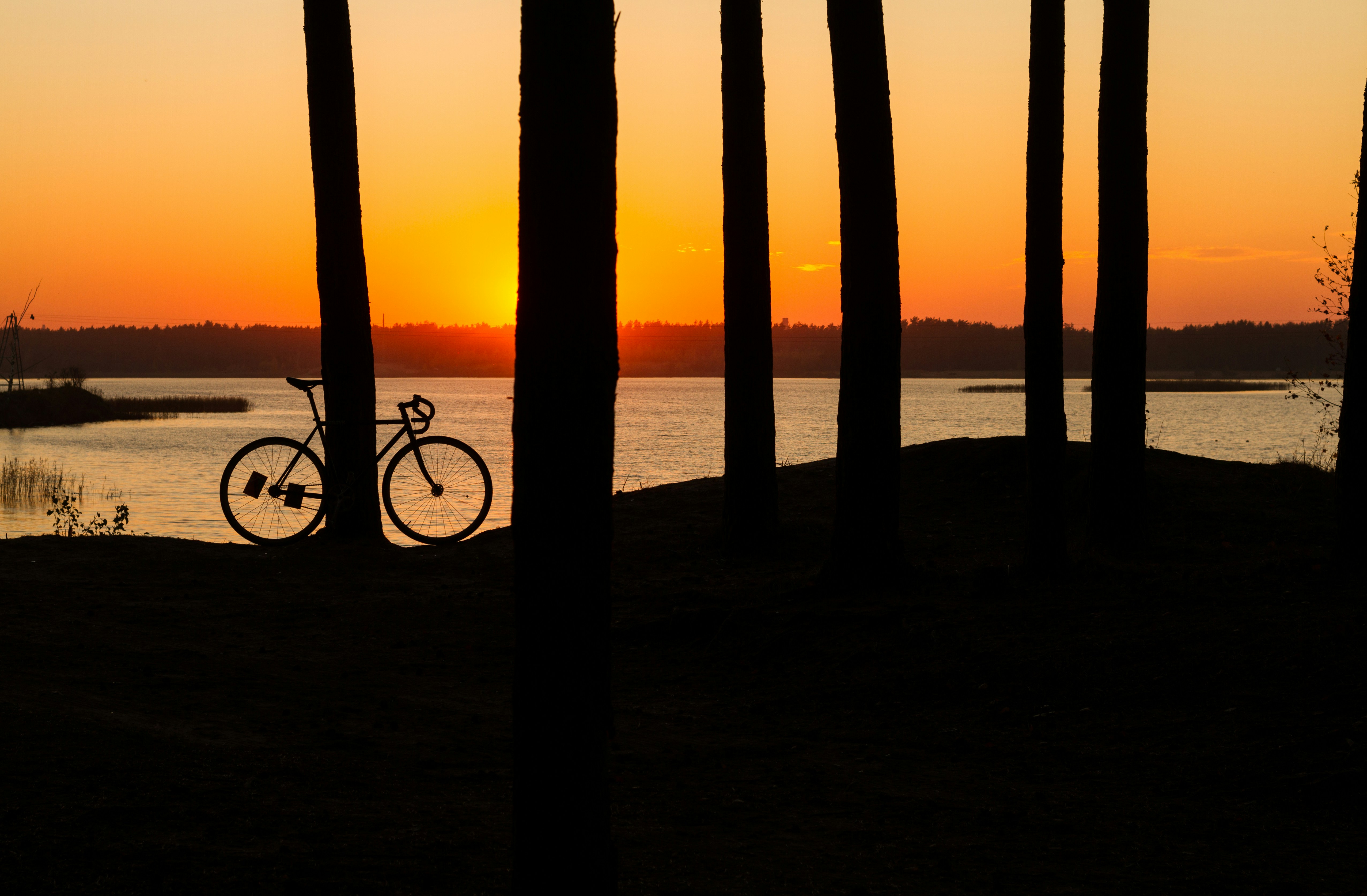 A bicycle parked on a dock photo – Free Nature Image on Unsplash