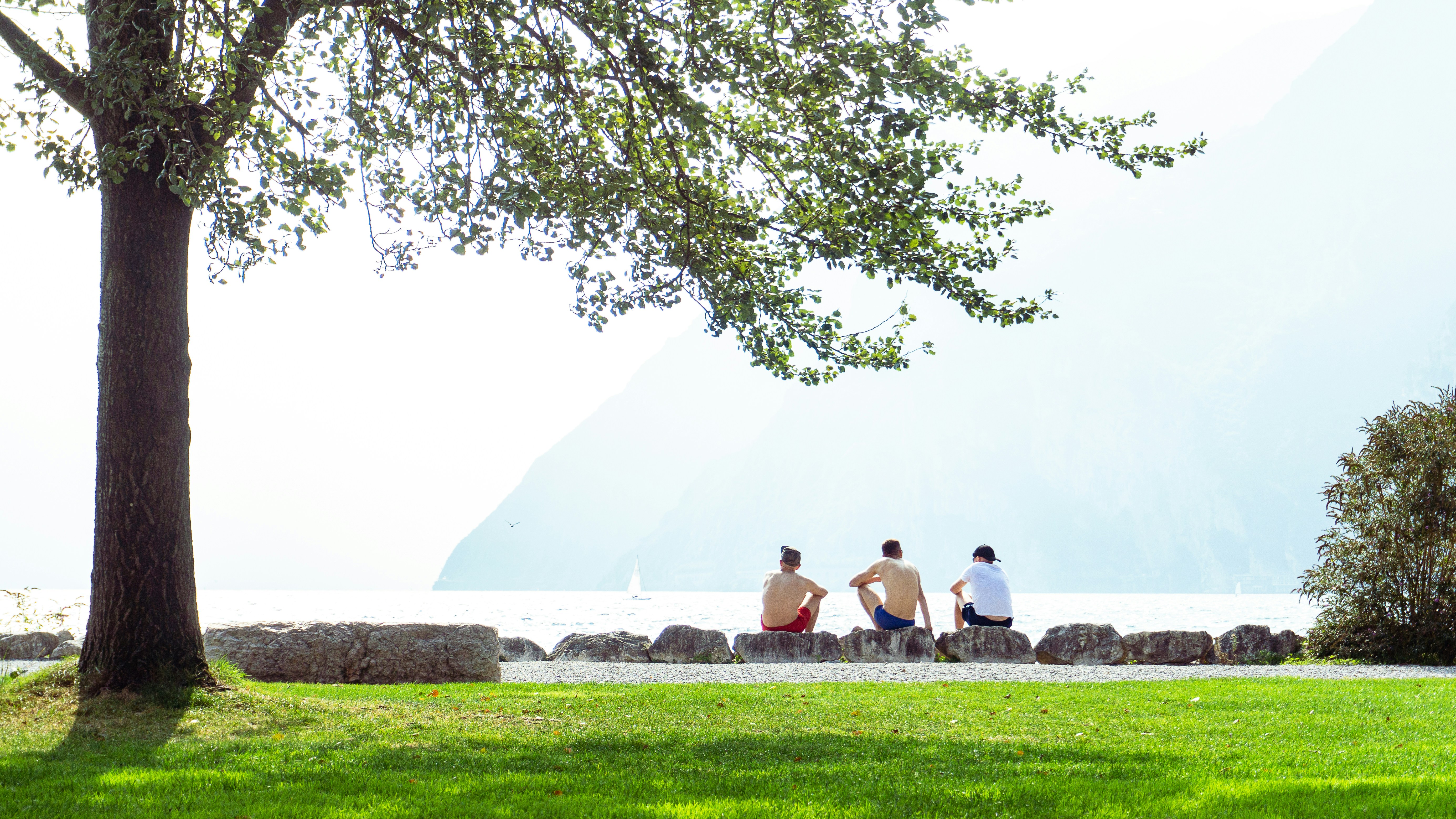 A group of people sitting on a rock ledge by a tree photo – Free Lago ...