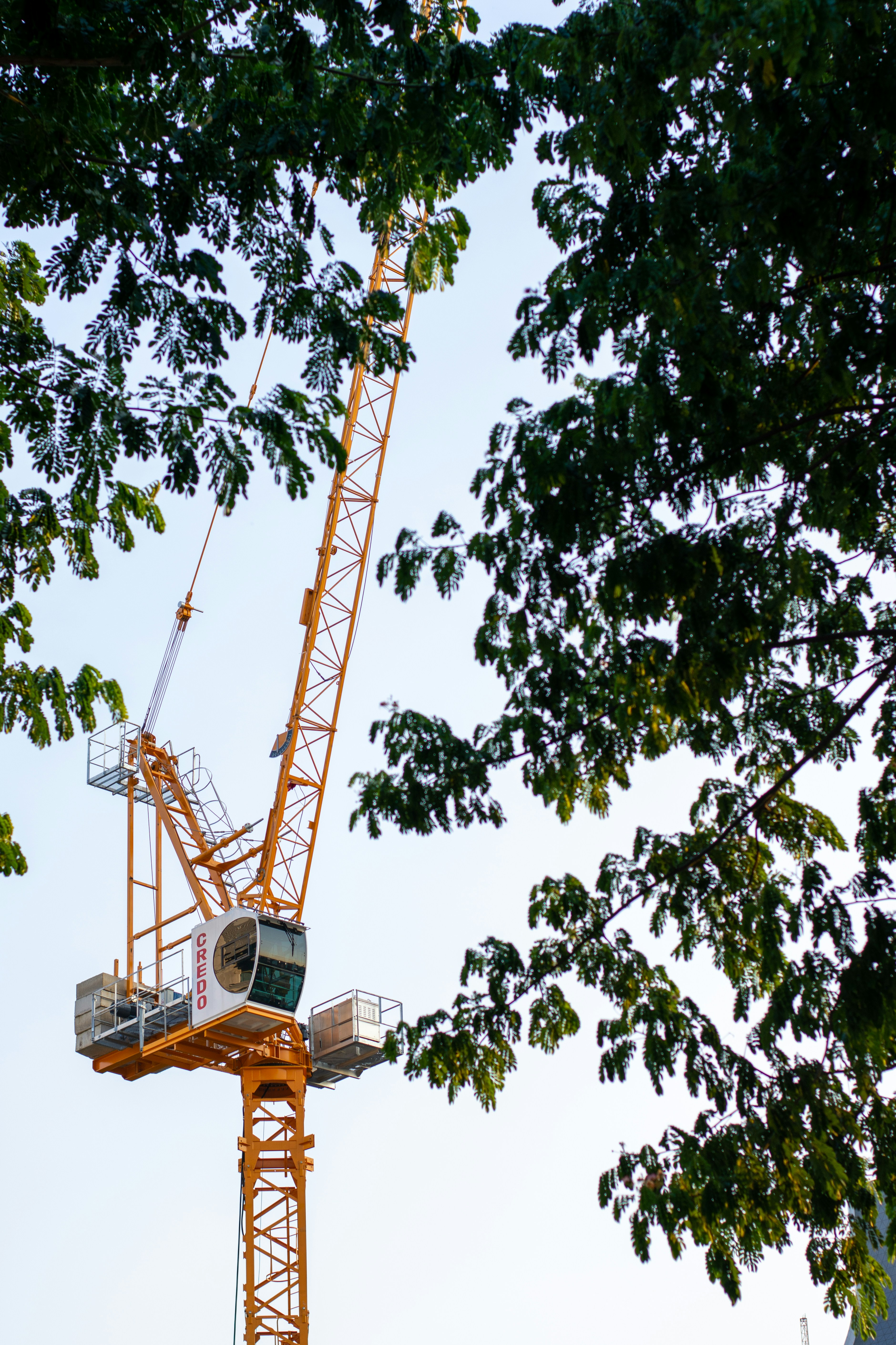 a tall tower with a tree in the foreground