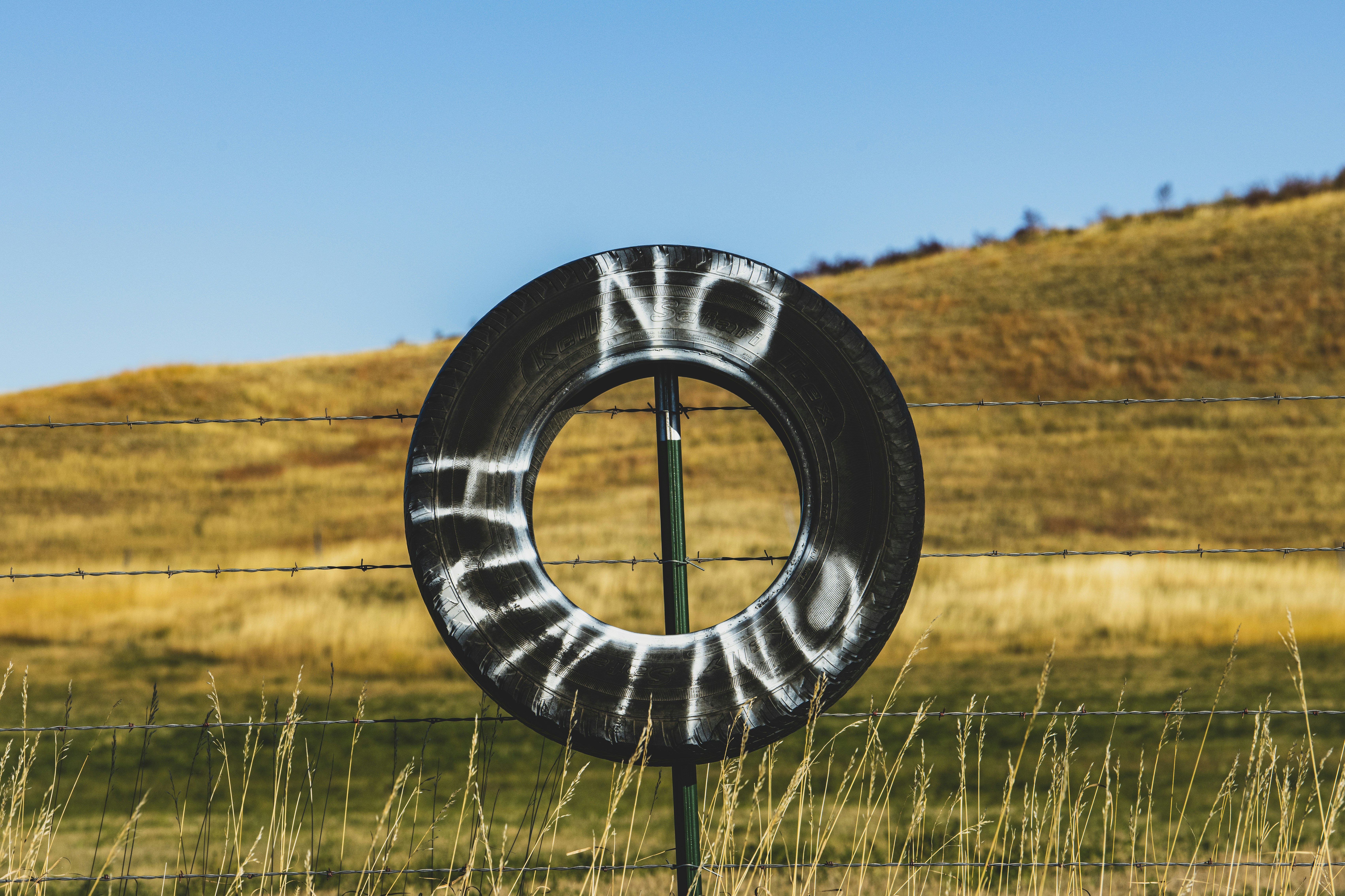A flag in a field photo – Free No hunting sign Image on Unsplash