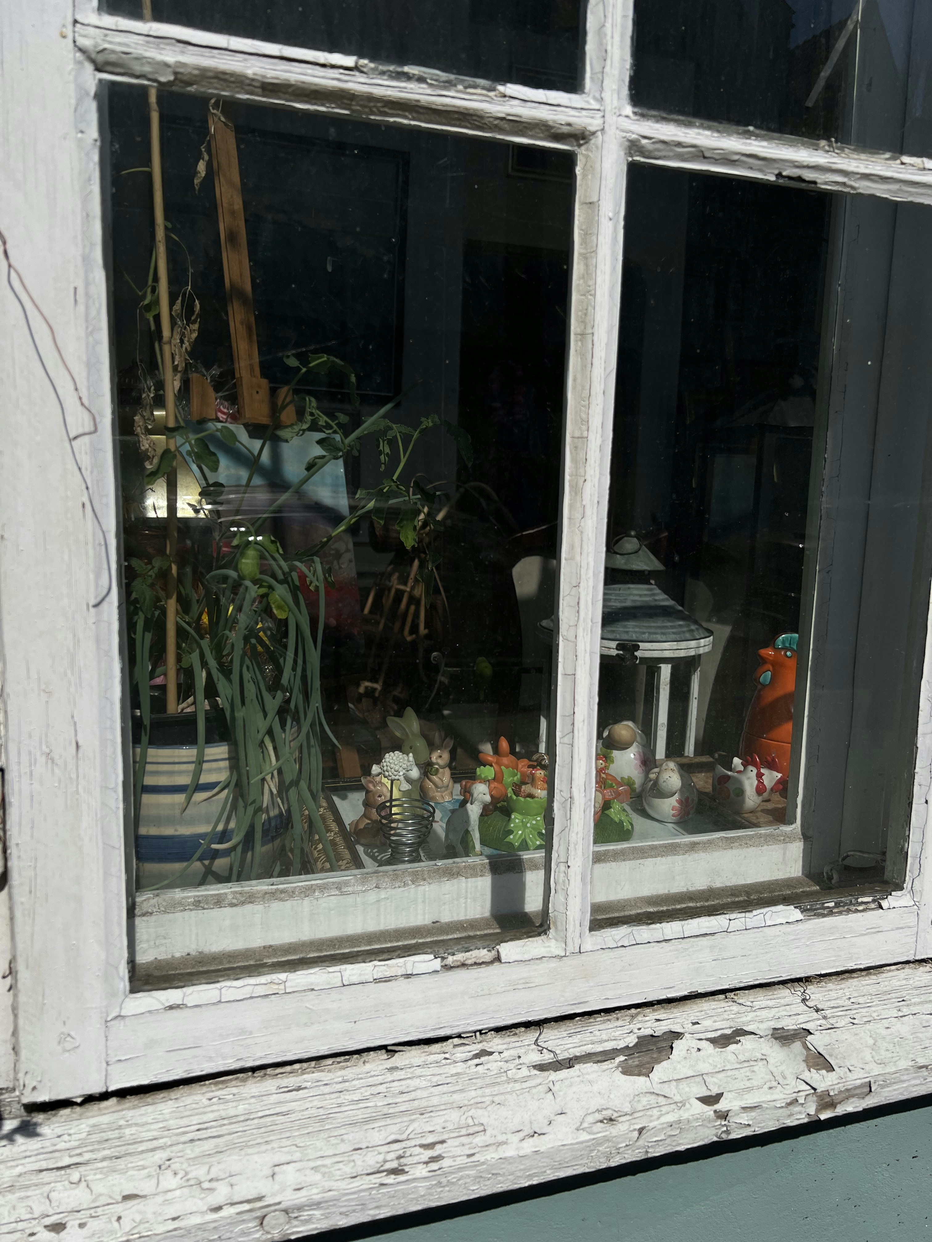 Glassbound Minis: A Sunlit Parade Behind a Weathered Windowsill
