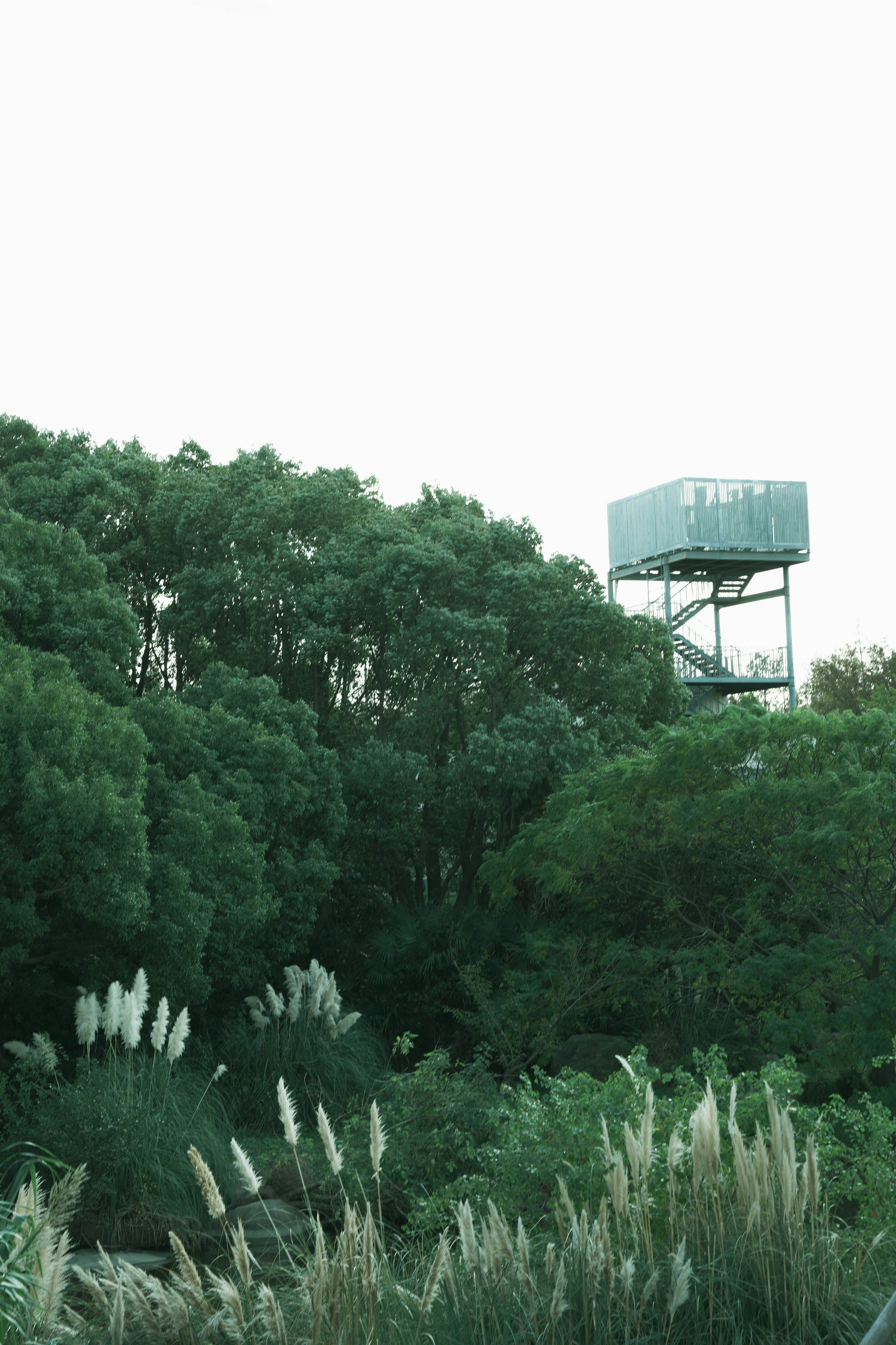 Stilted Sentinel Over a Quiet Meadow