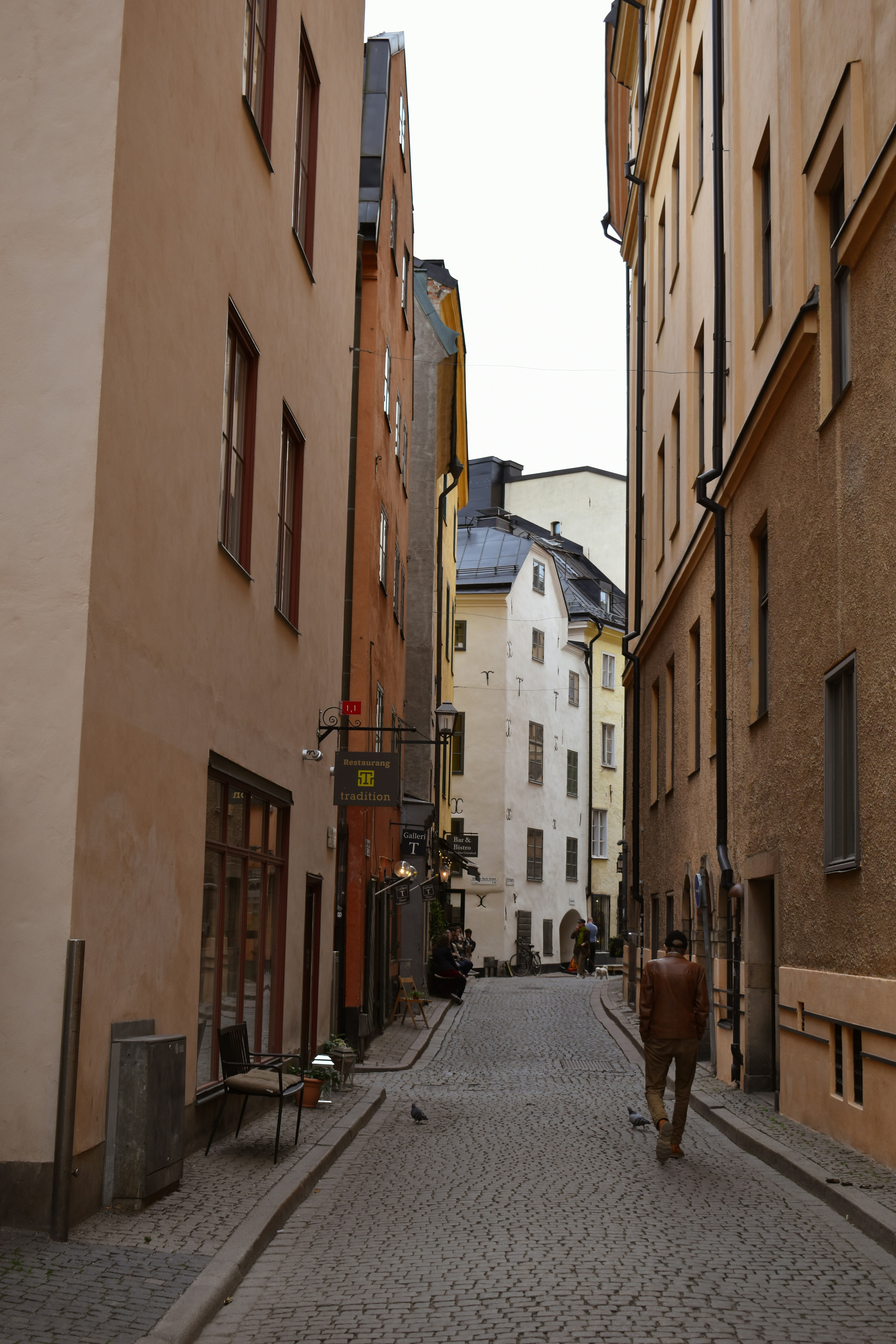 Narrow cobblestone alleyway flanked by historic buildings in a quaint urban setting, with a solitary figure walking down the path.