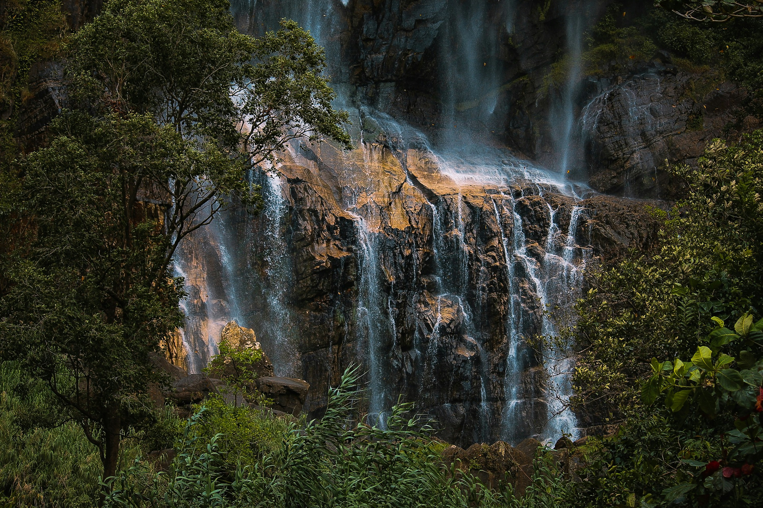A waterfall in a forest photo – Free Nature Image on Unsplash
