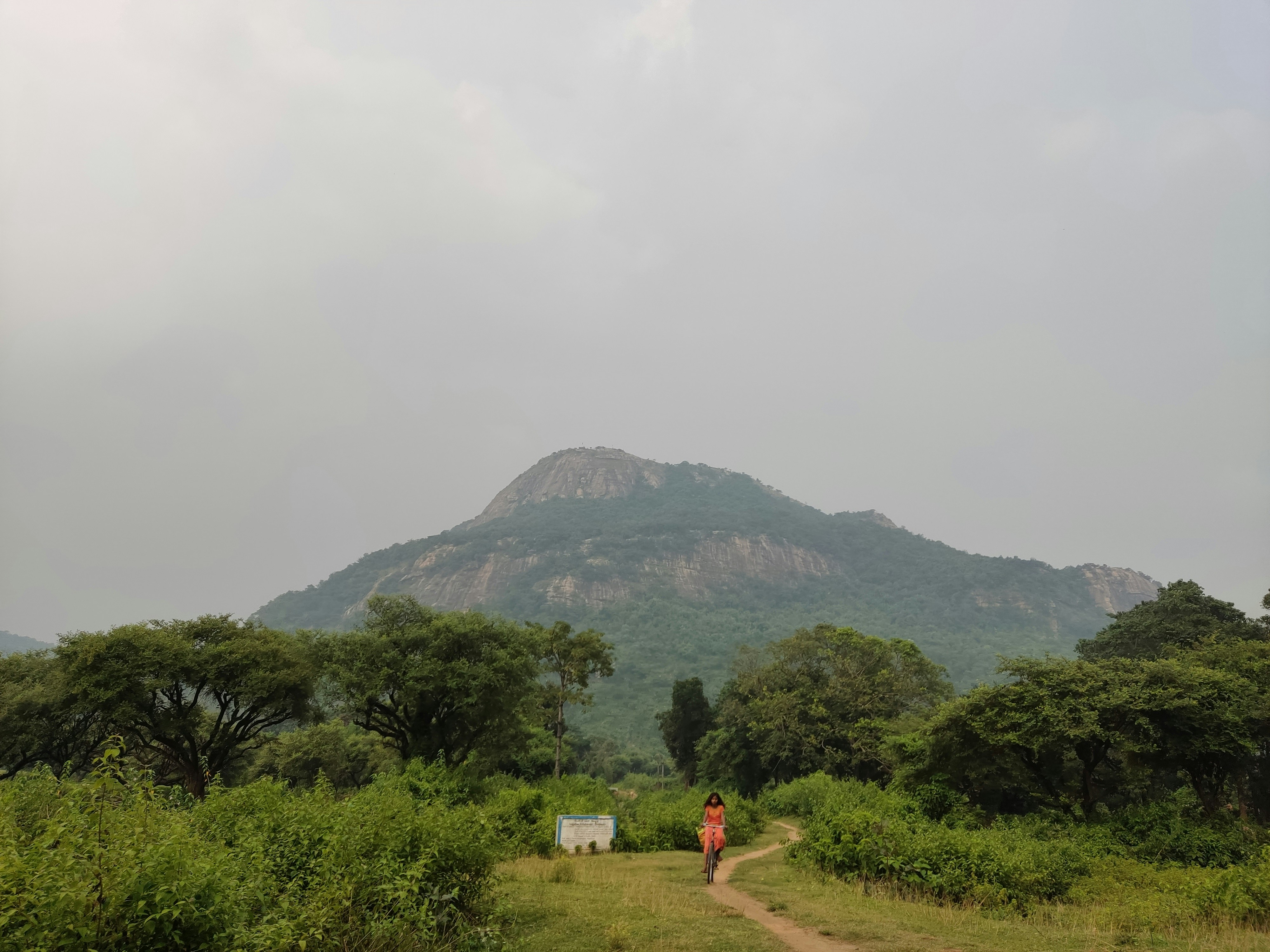 Ayodhya Hill Station Photography ! | a person walking on a path in a forest