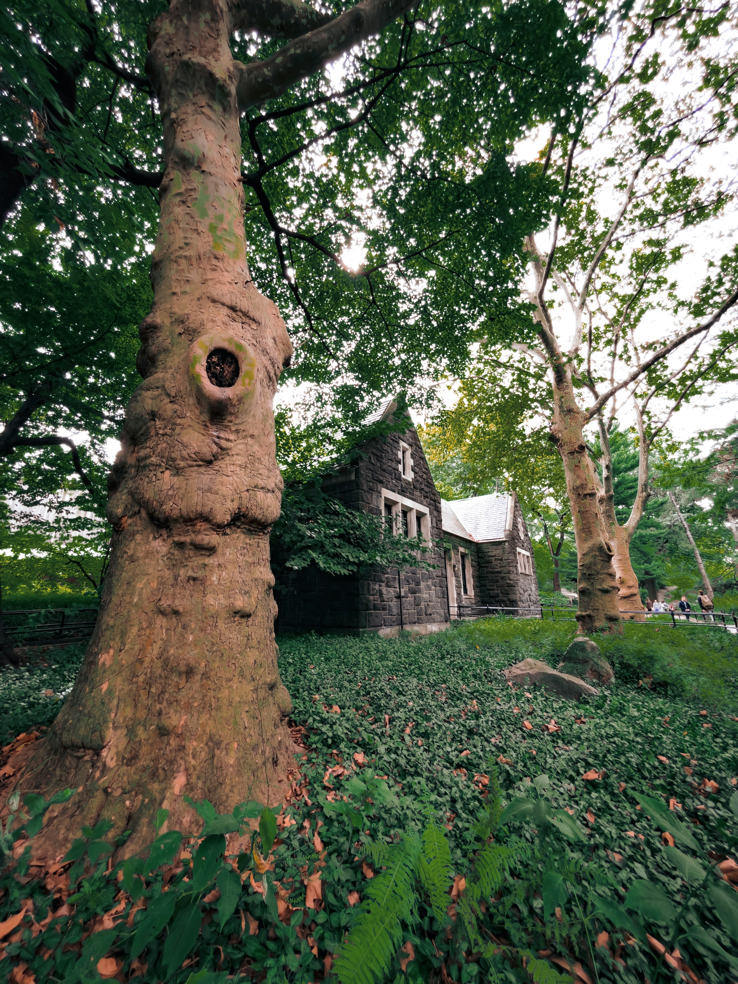 Stone Chapel Amid the Green Canopy