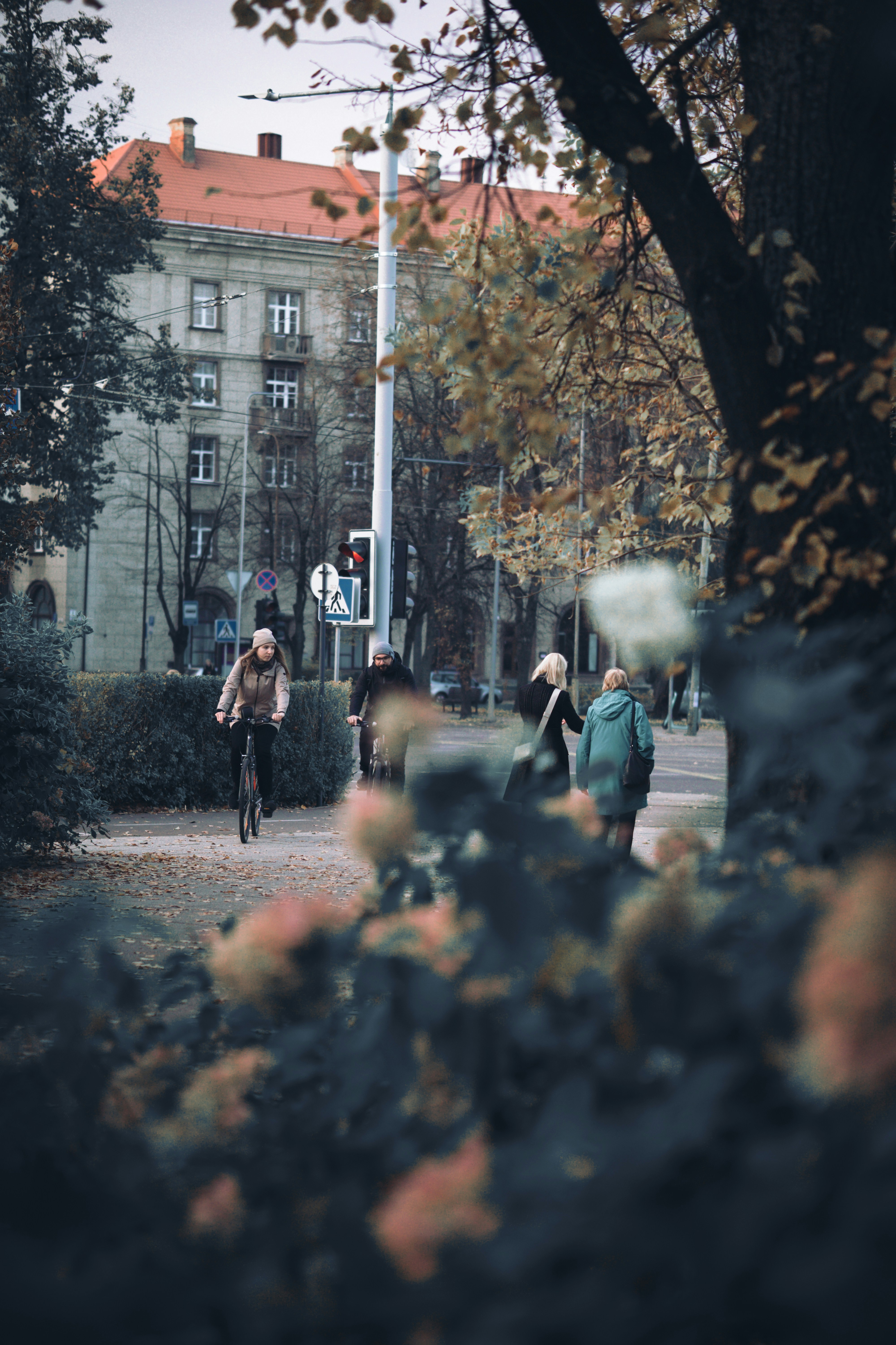 Autumn Street Relay: A Cyclist Among Quiet City Walkers