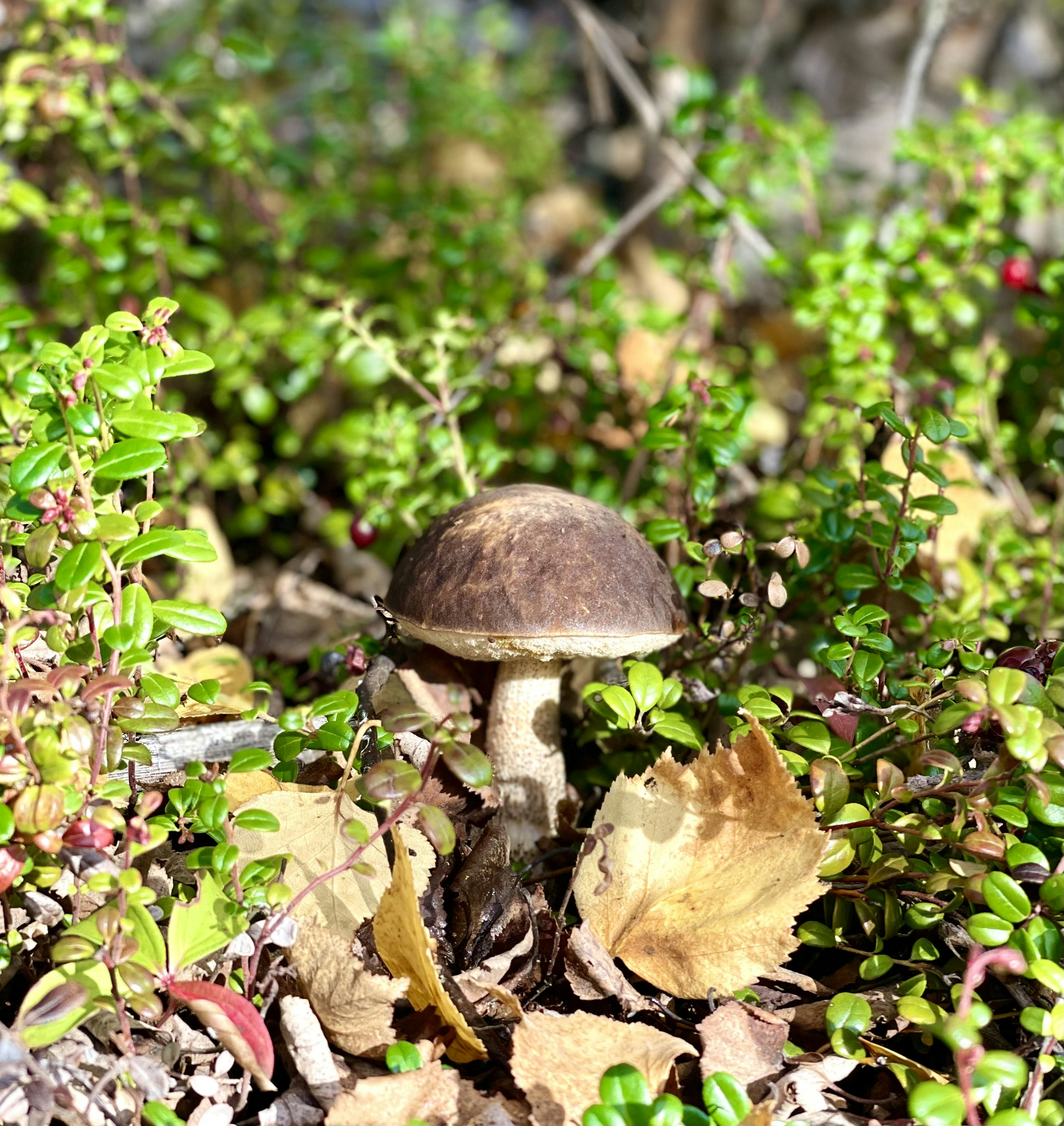 Photo by Katerina Kolpakova with Apple iPhone 12 Pro