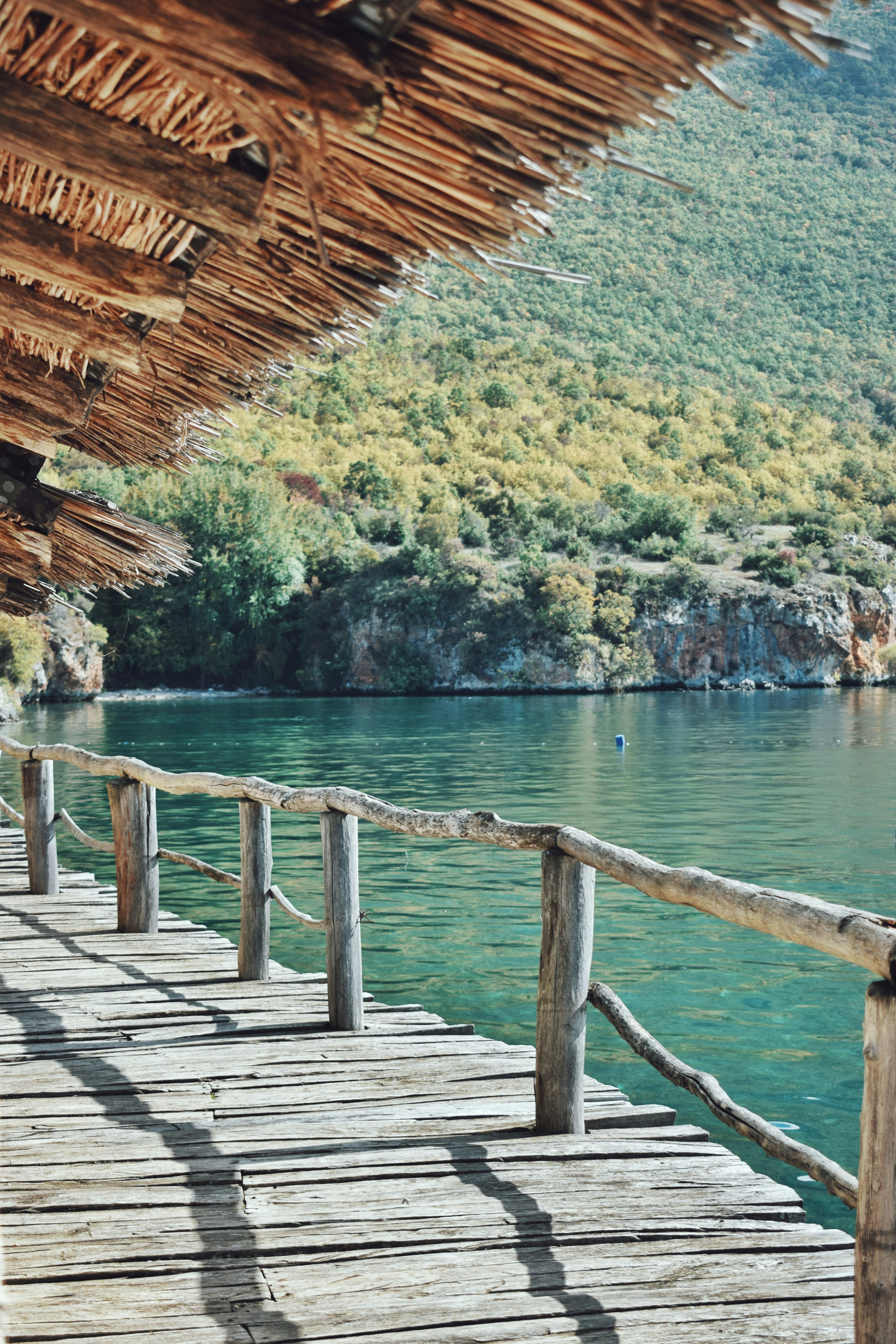 A wooden bridge over water photo – Free The bay of bones Image on Unsplash