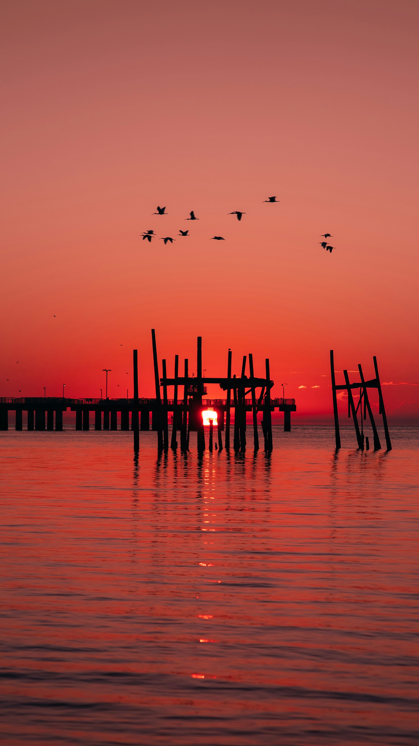 Photo by Valeriia Neganova with Canon EOS R6