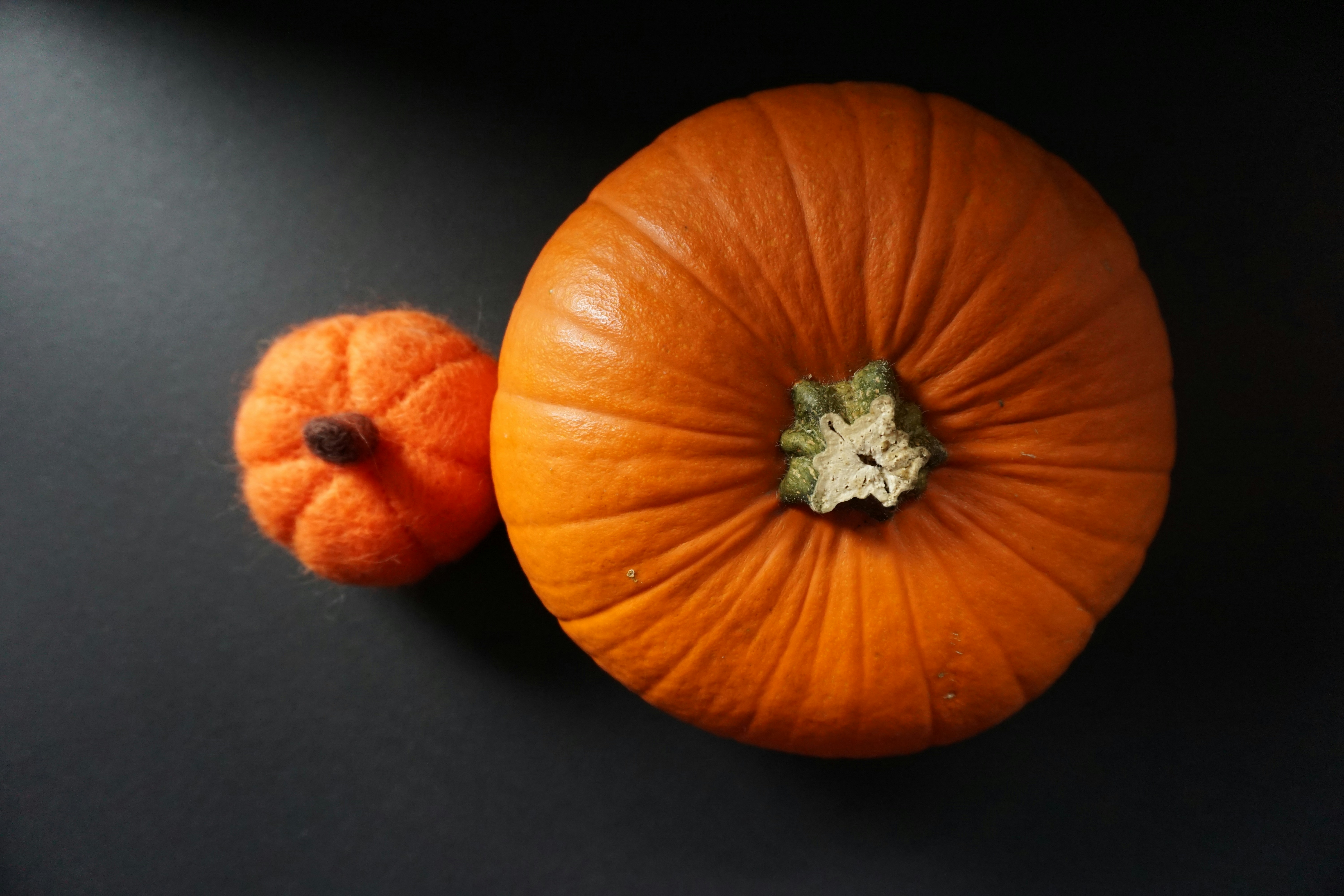 A vibrant, large pumpkin sits alongside a smaller felted pumpkin against a dark background, emphasizing their contrasting textures and colors.