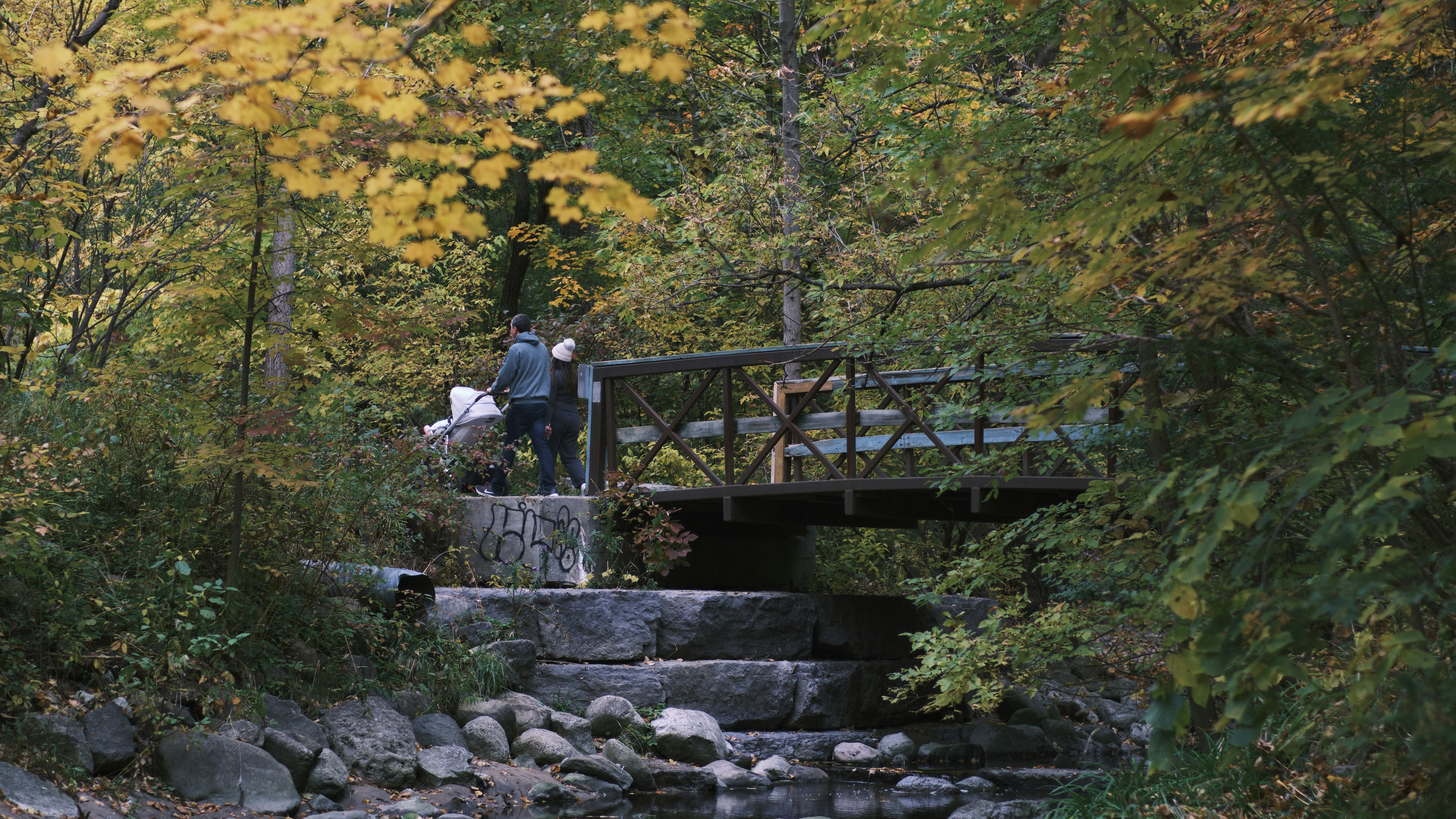 A couple of people on a bridge over a river photo – Free Human Image on ...