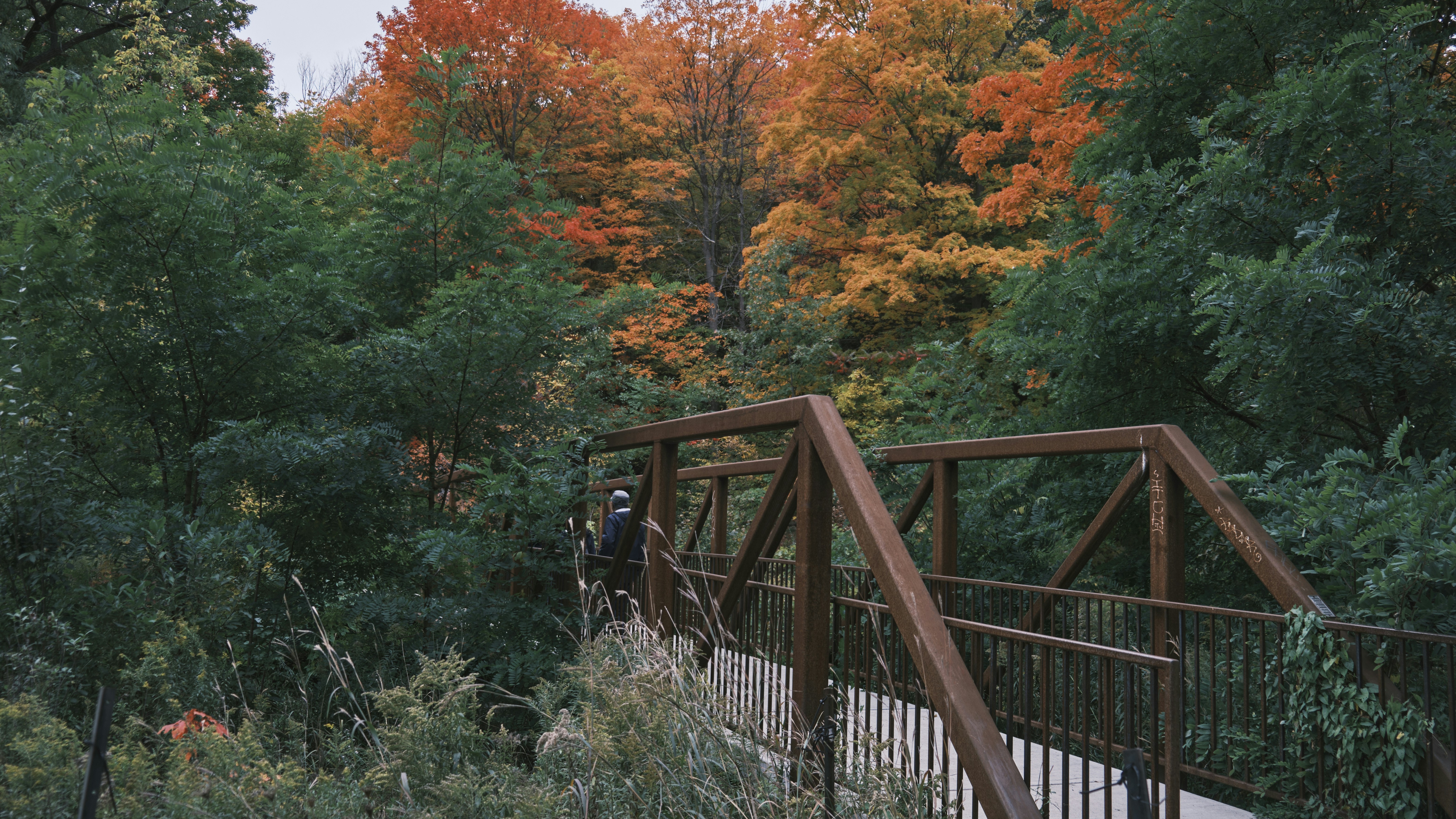 a bridge over a river