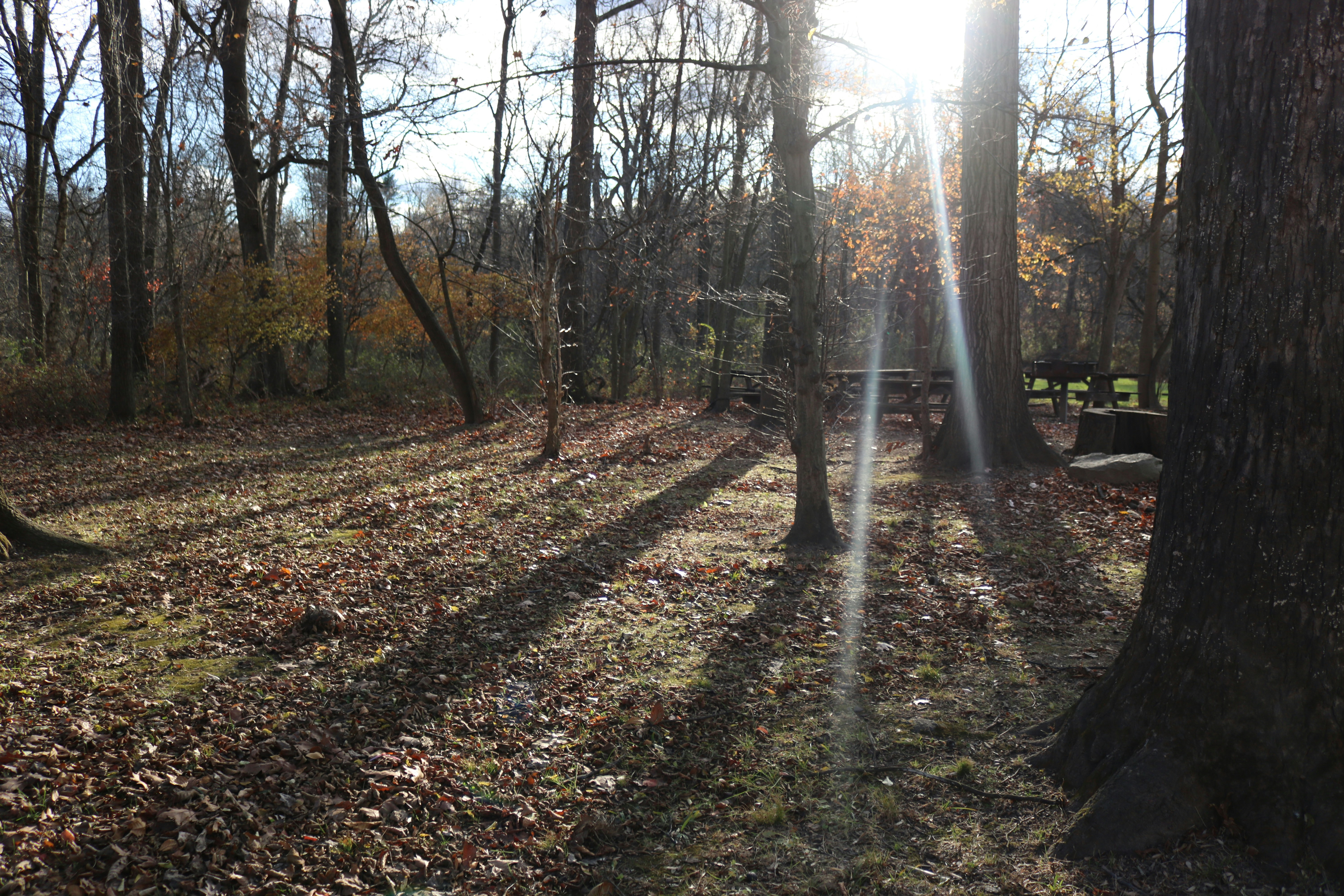 Photo by Olivia Claire with Canon EOS 750D