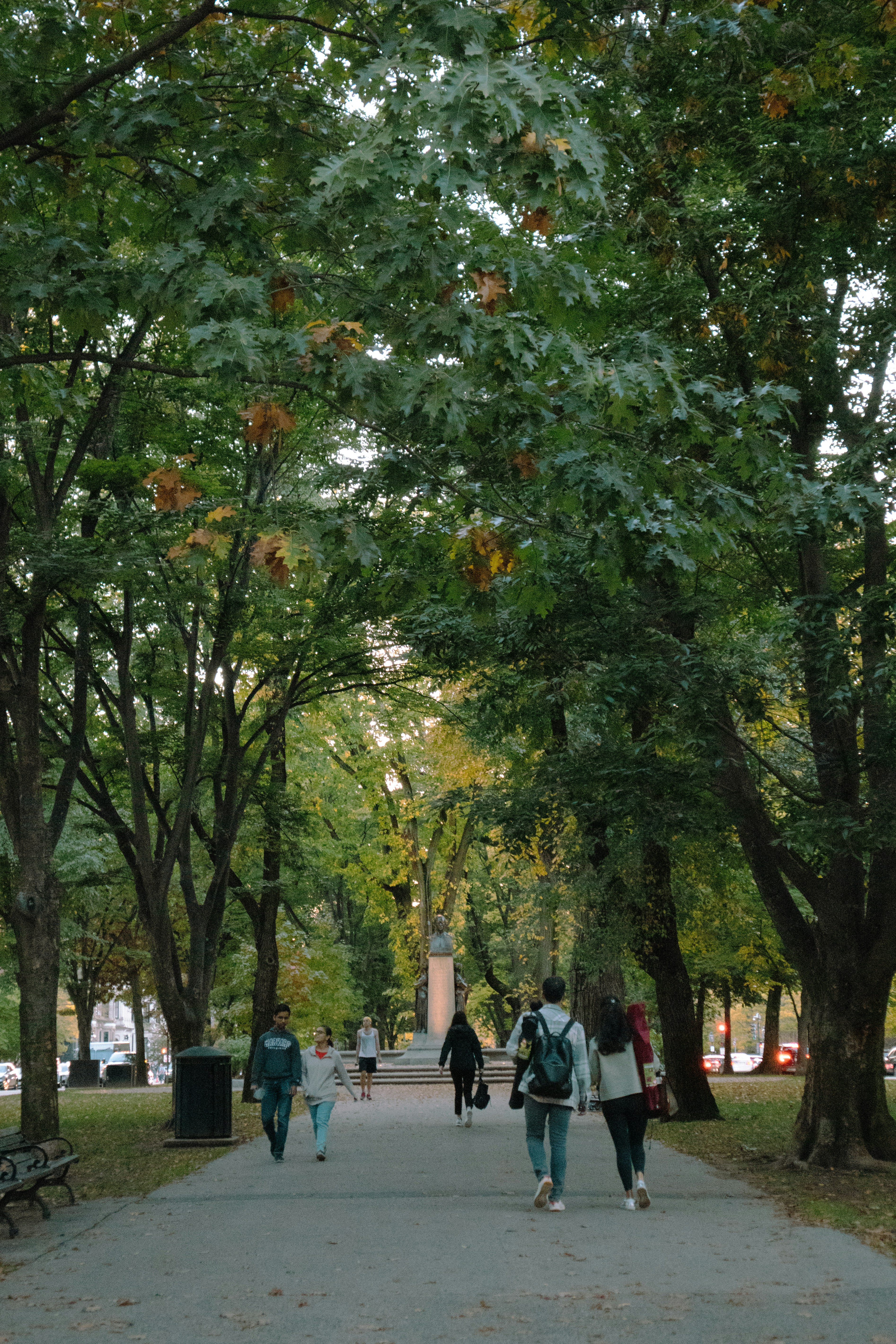 people walking on a path between trees