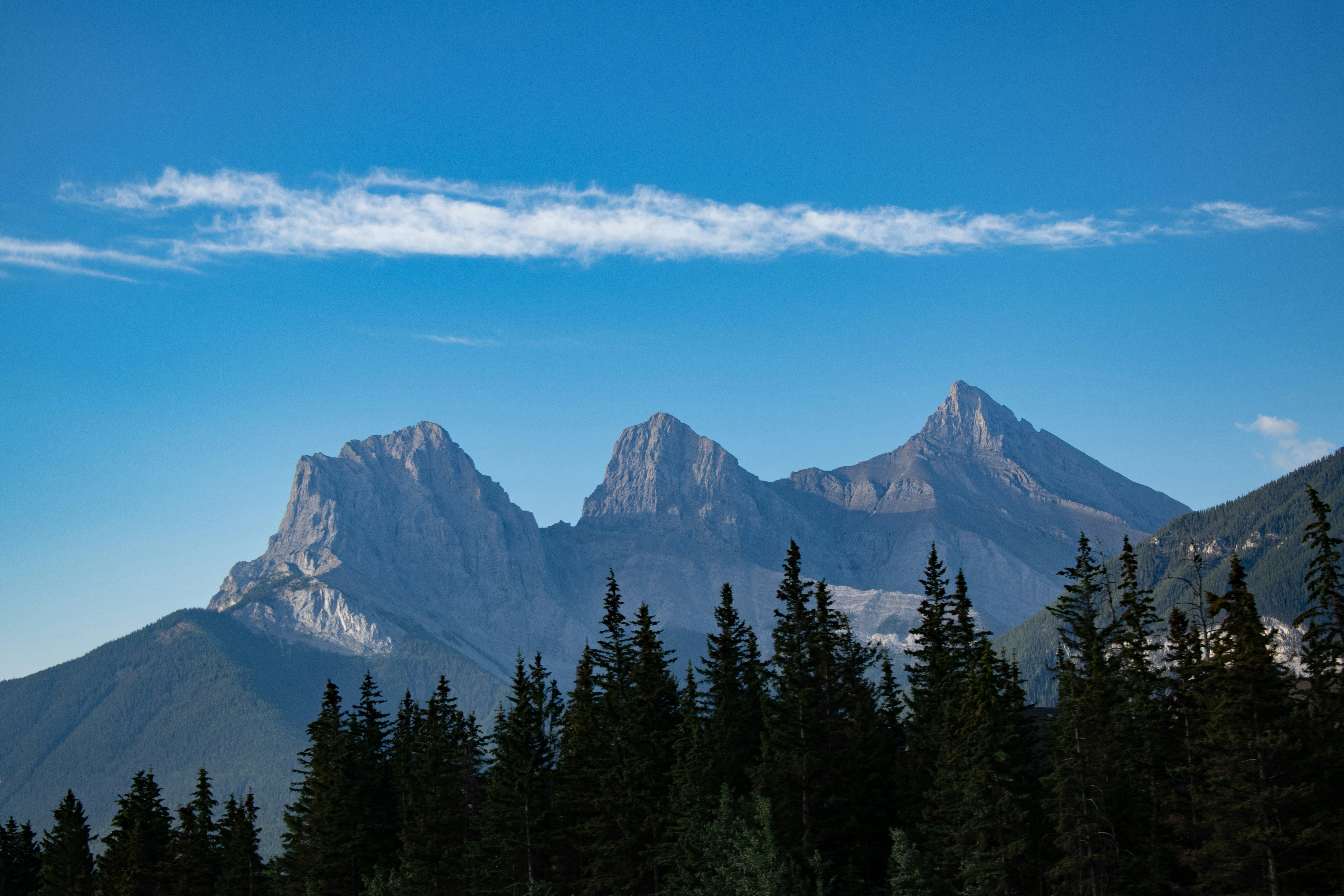 Three prominent mountain peaks rise sharply against a clear blue sky, framed by a dense line of evergreen trees in the foreground.