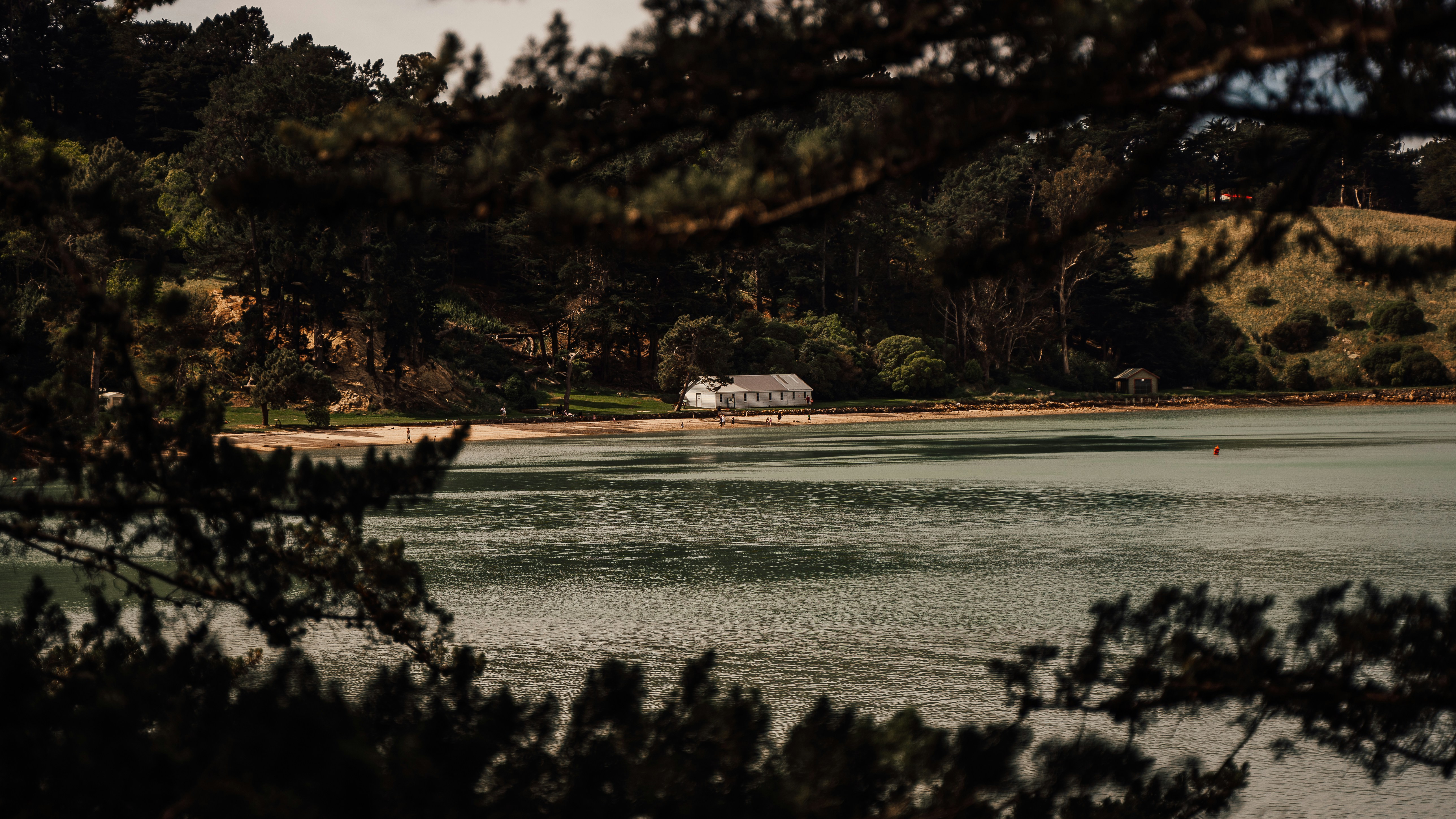 A house on a beach photo – Free Quail island Image on Unsplash