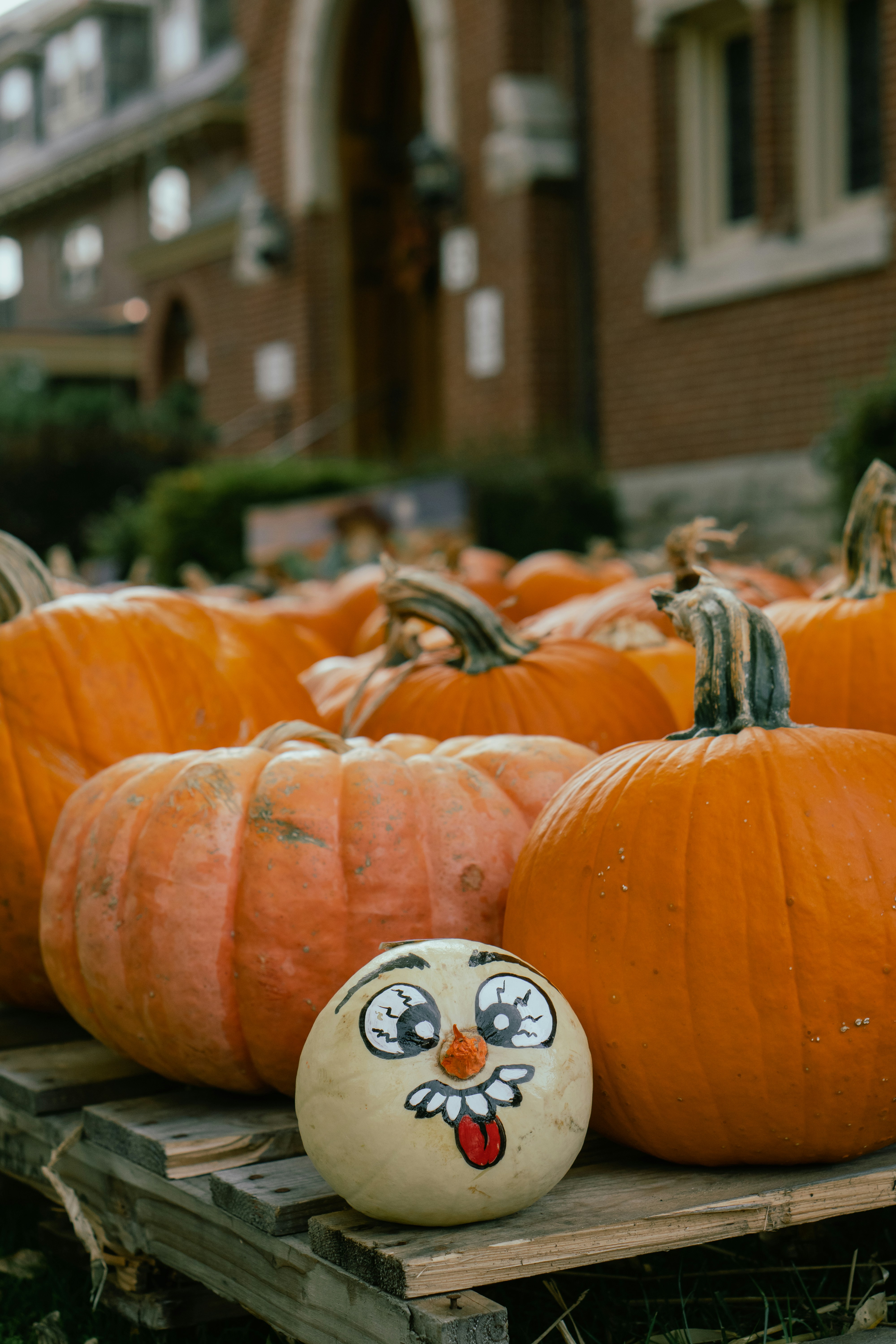 Grinning White Pumpkin Leads the Autumn Patch