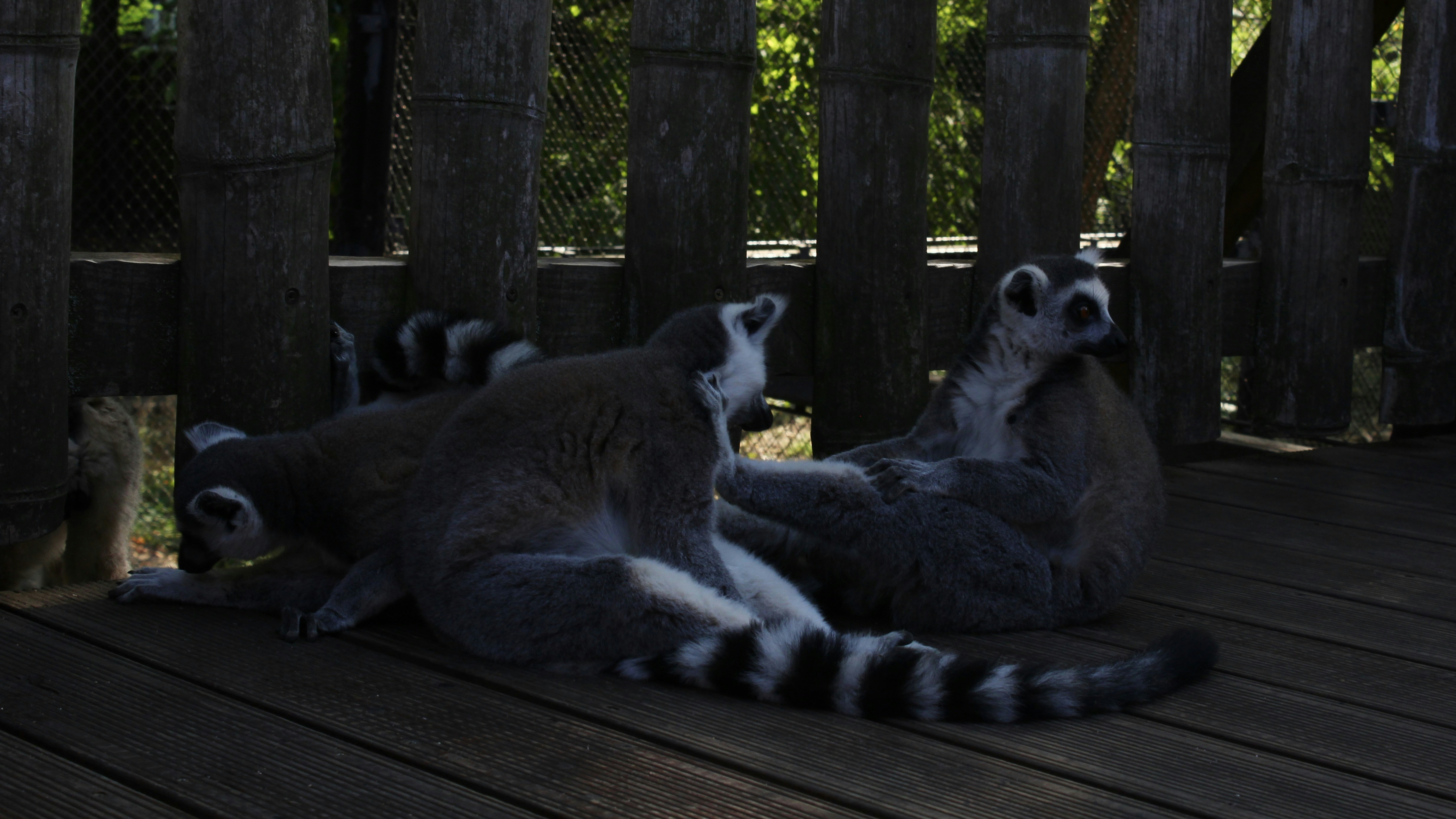 Photo by Czapp Botond with Canon EOS 1200D