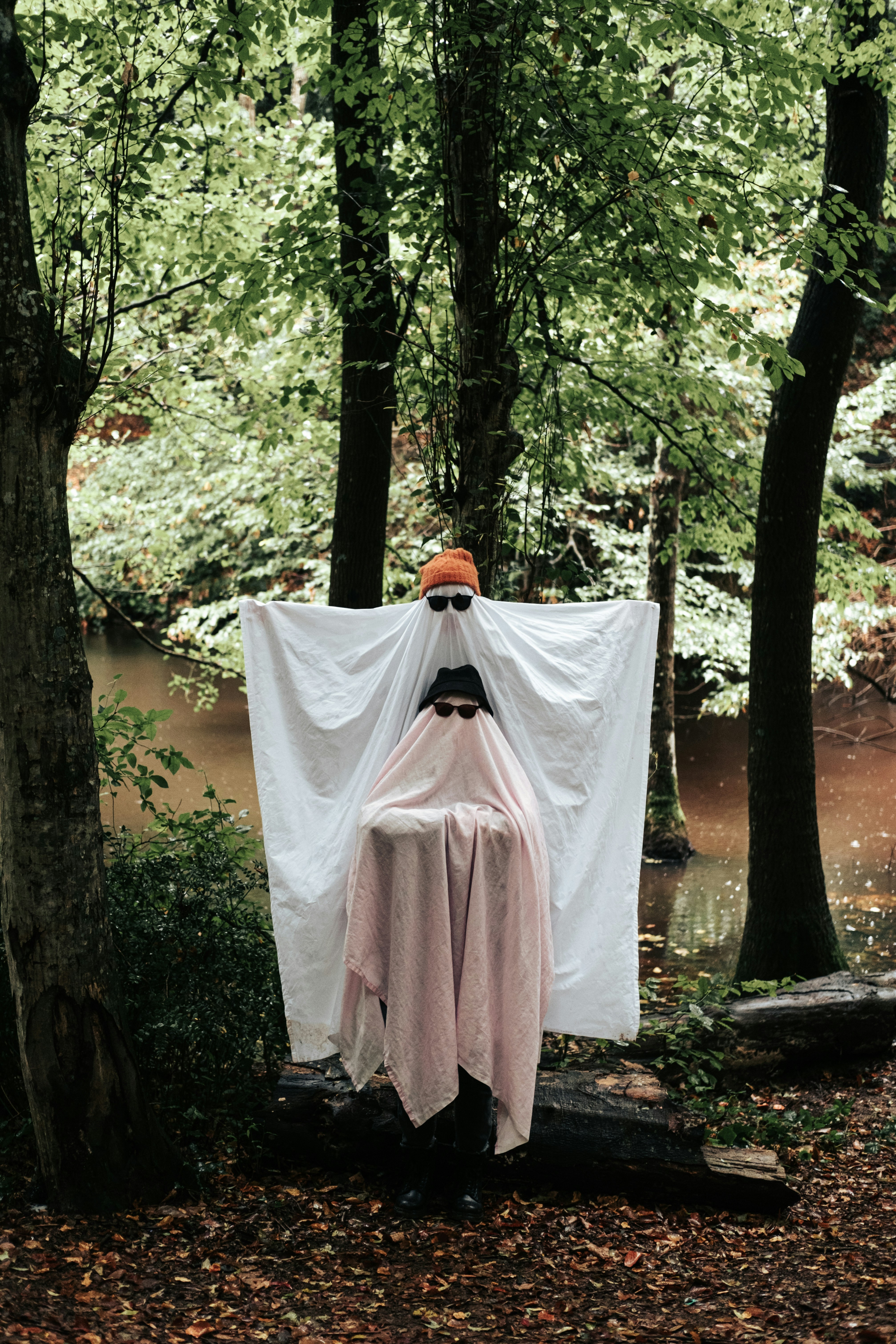 Two Ghostly Drapes in the Pines