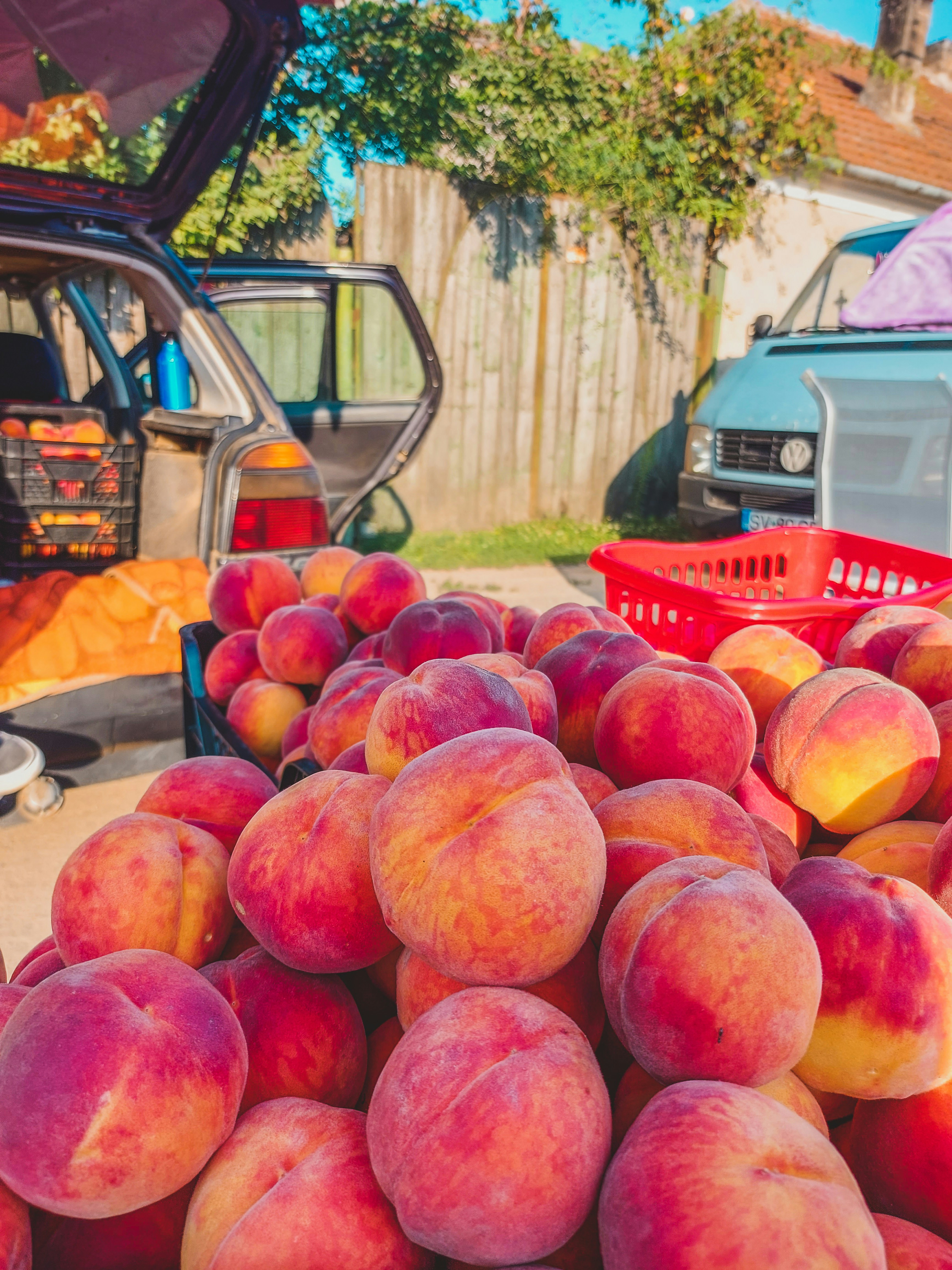 Peachy Harvest: Sunlit Baskets Amidst a Yard Market
