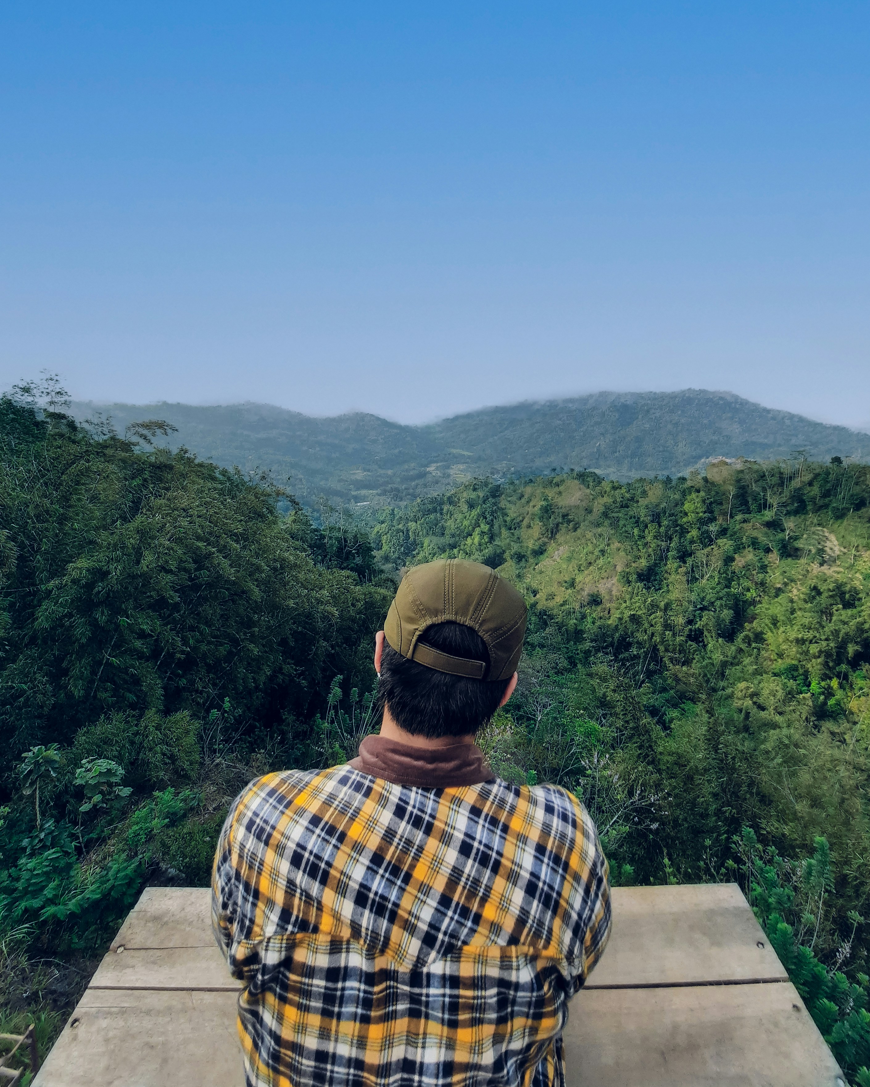 A man looking out over a forest photo – Free Nature Image on Unsplash