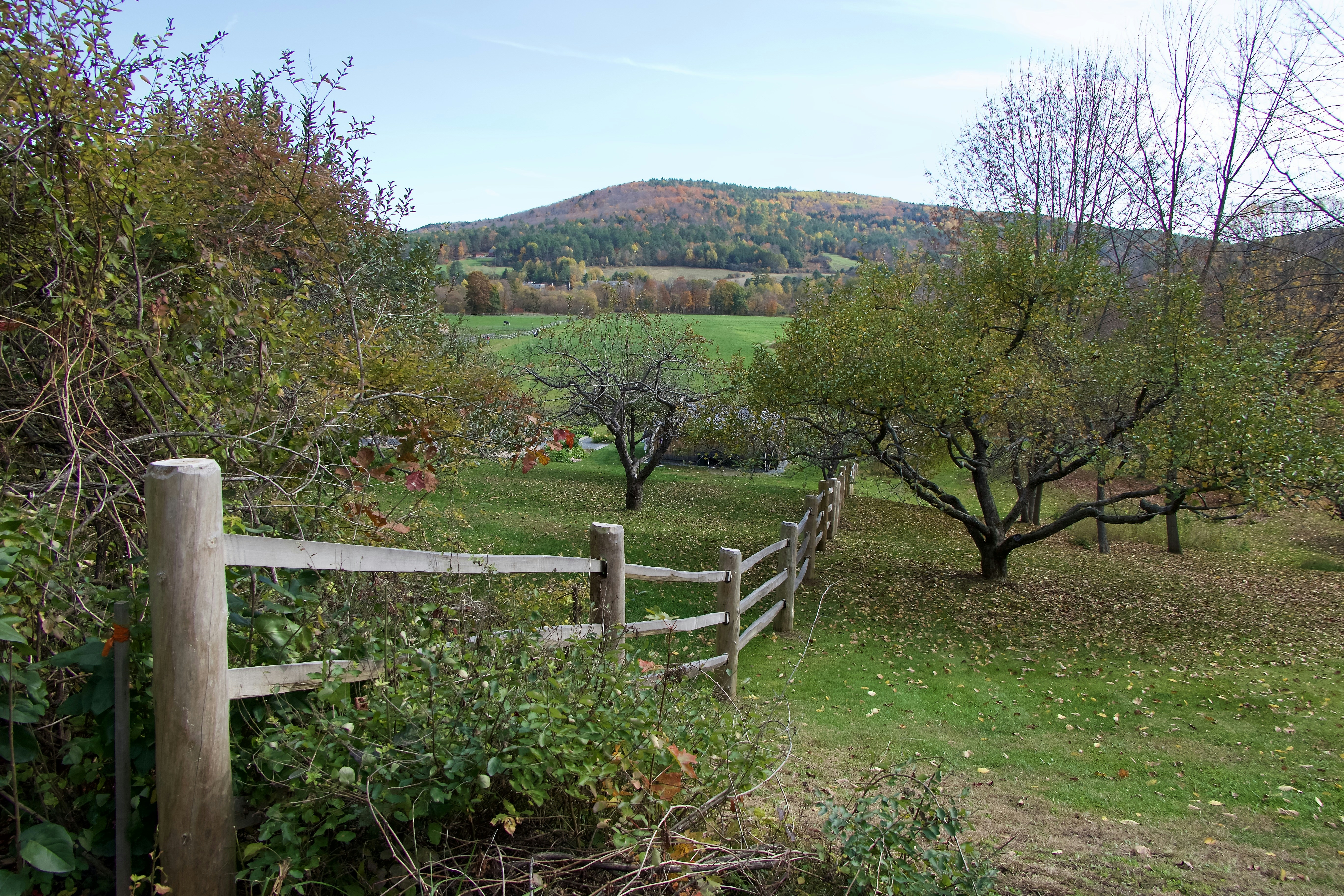 Fence Gate to the Valley: Autumn Orchard and rolling hills