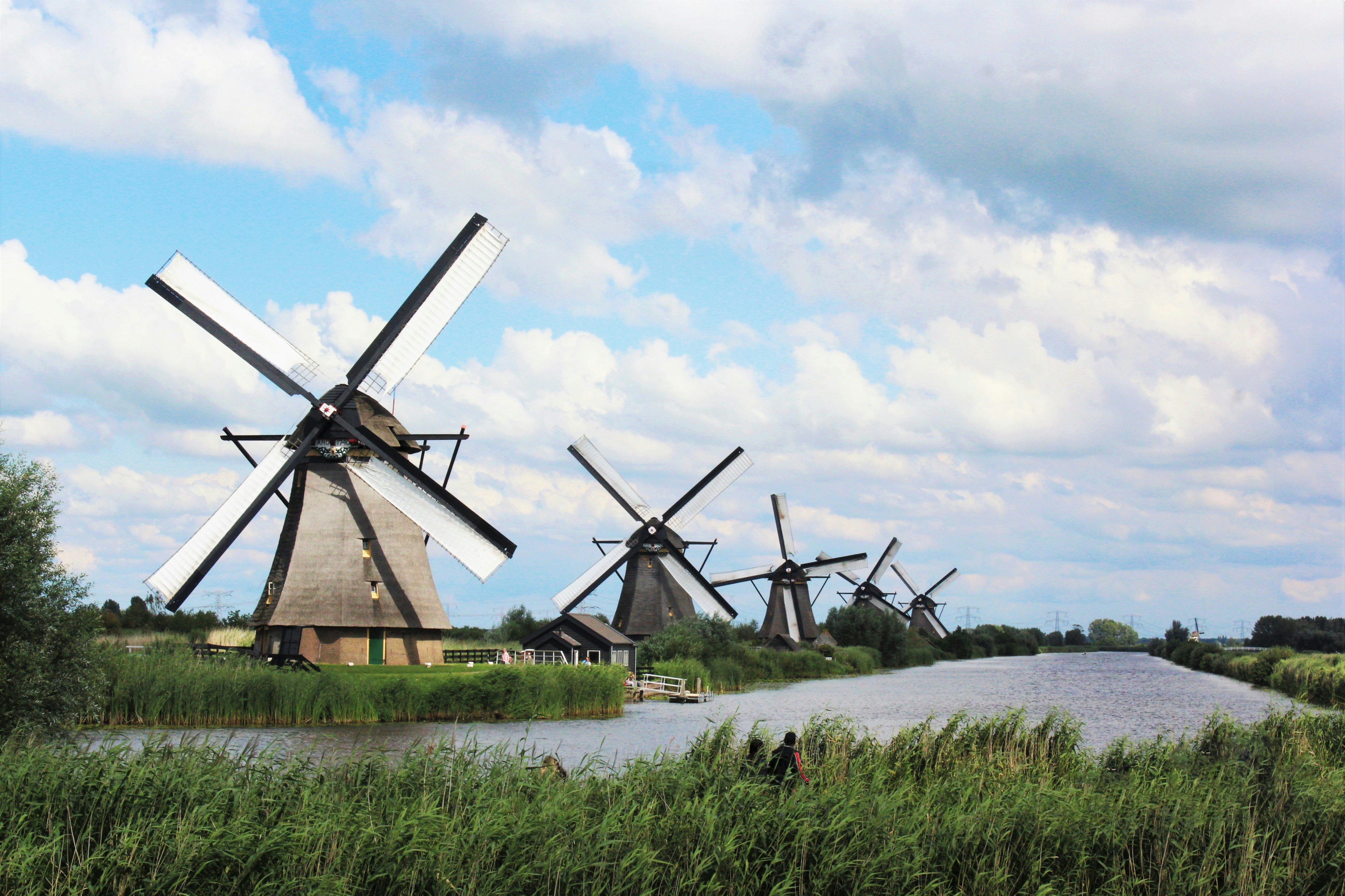 Wunderkammer | Autumn Widdoes | Substack