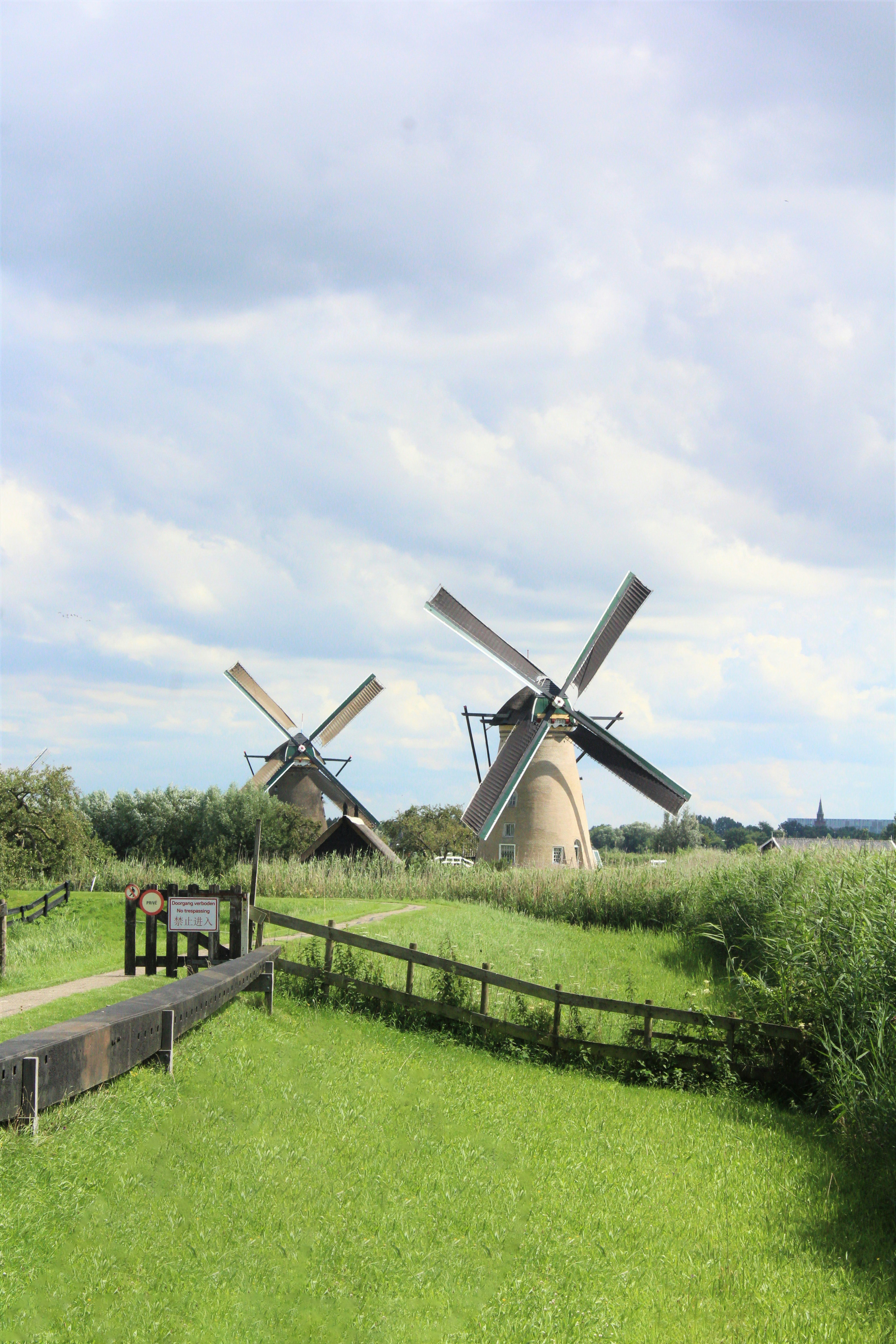 Eine Gruppe von Windmühlen auf einem Feld Foto – Kostenloses Bild zum ...