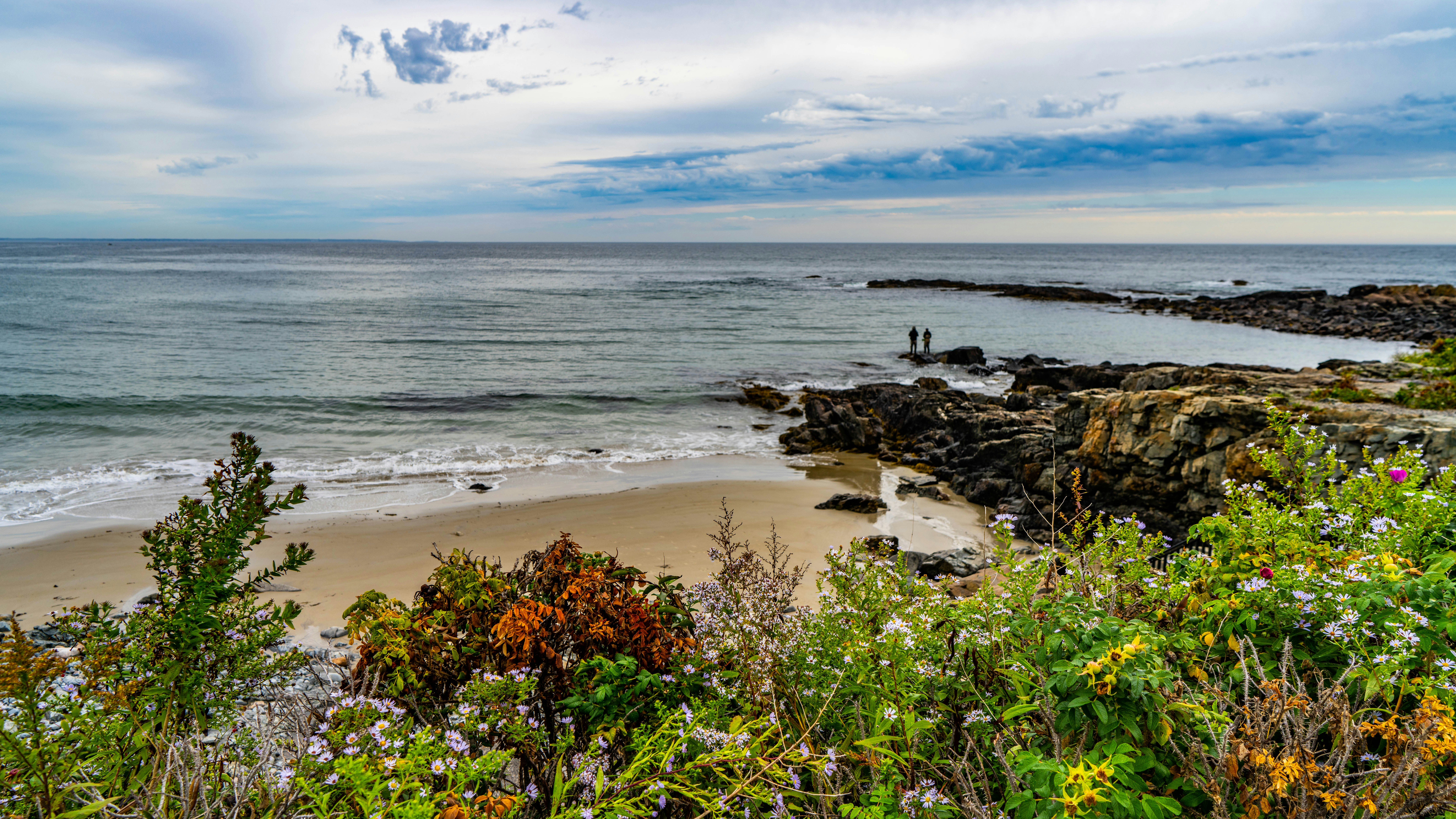 A beach with flowers and rocks photo – Free Ogunquit beach Image on ...