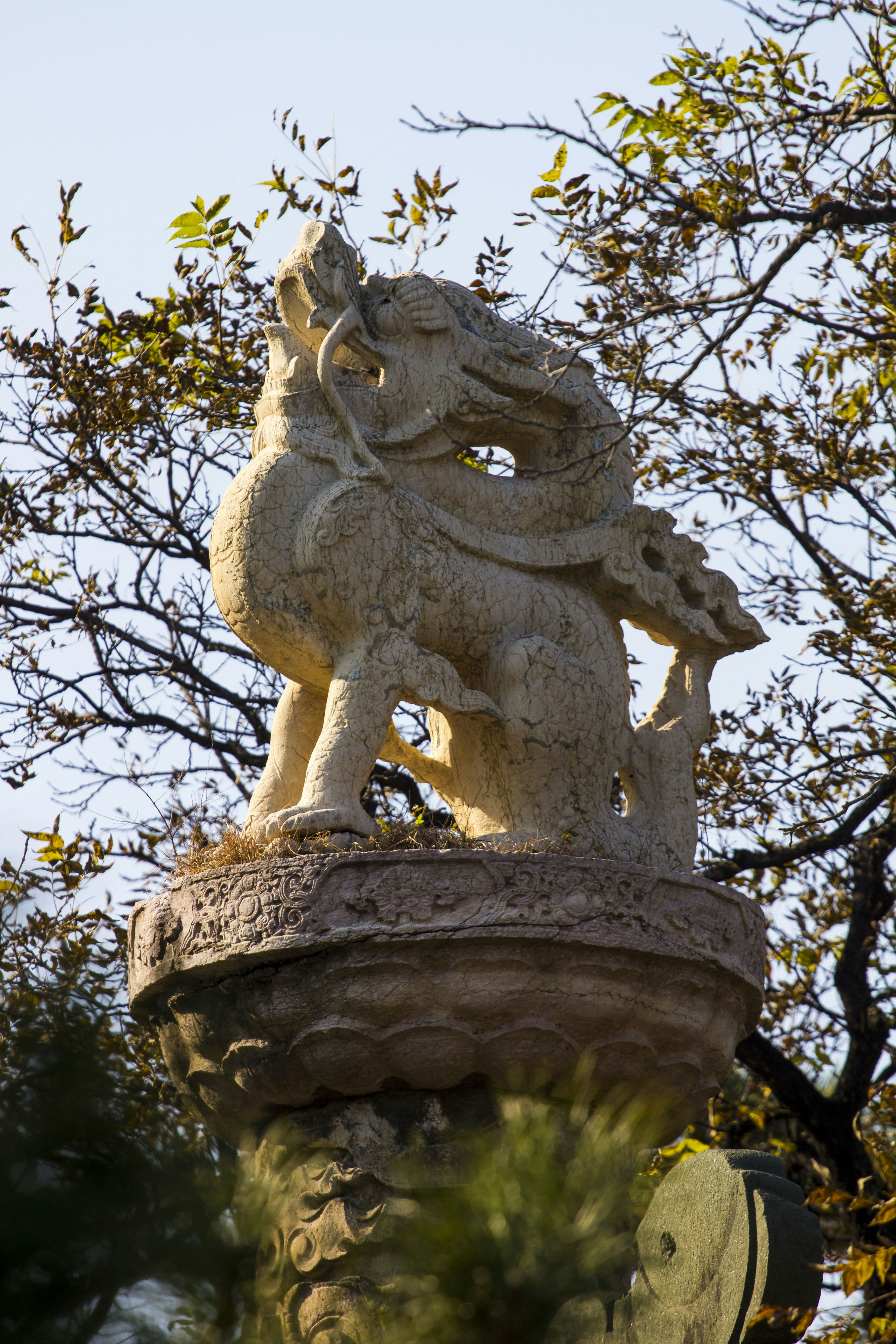 Dragon Sentinel on a Sunlit Pedestal Amid Quiet Branches
