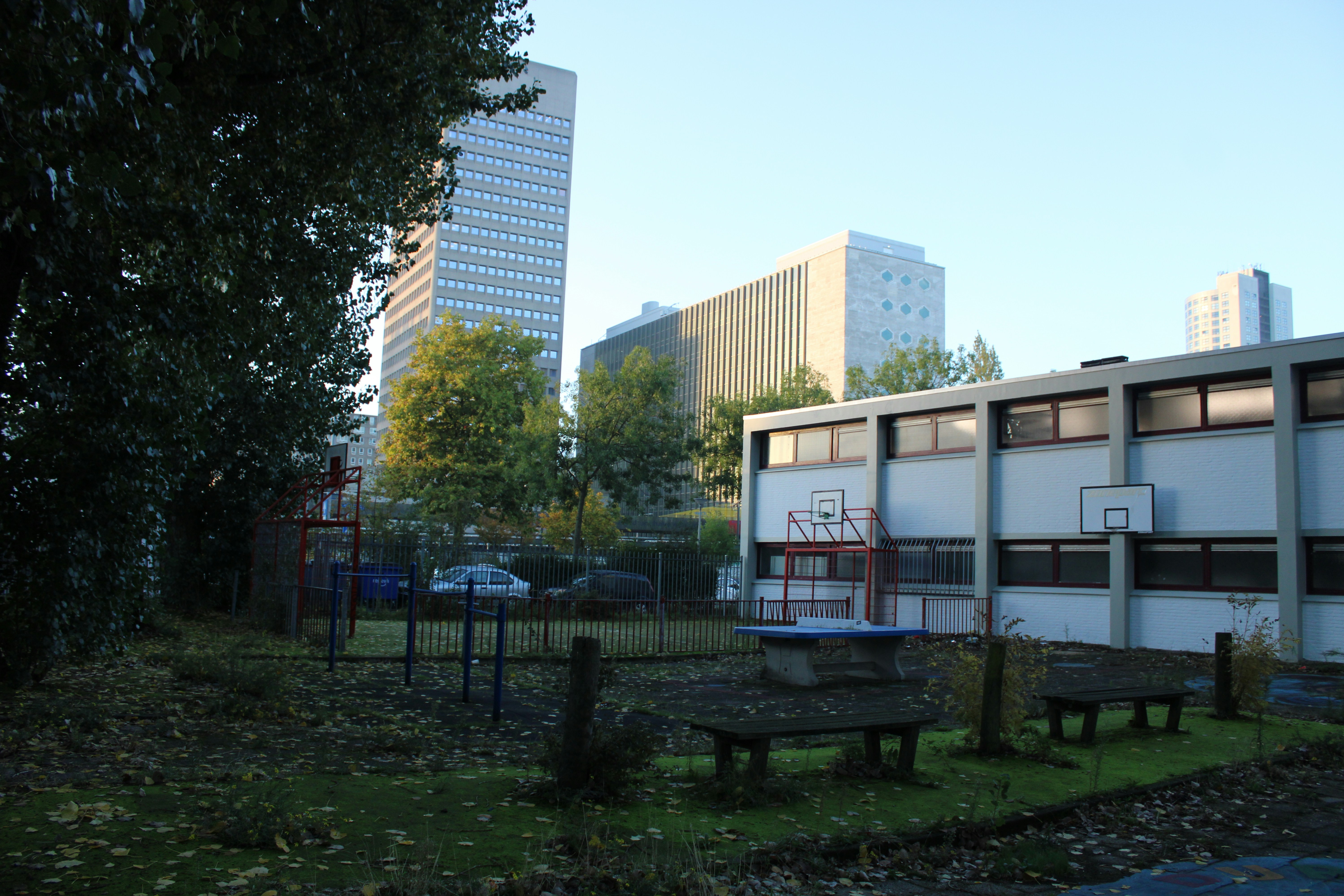 Between Beams and Benches: A City Park Framed by Skyscrapers