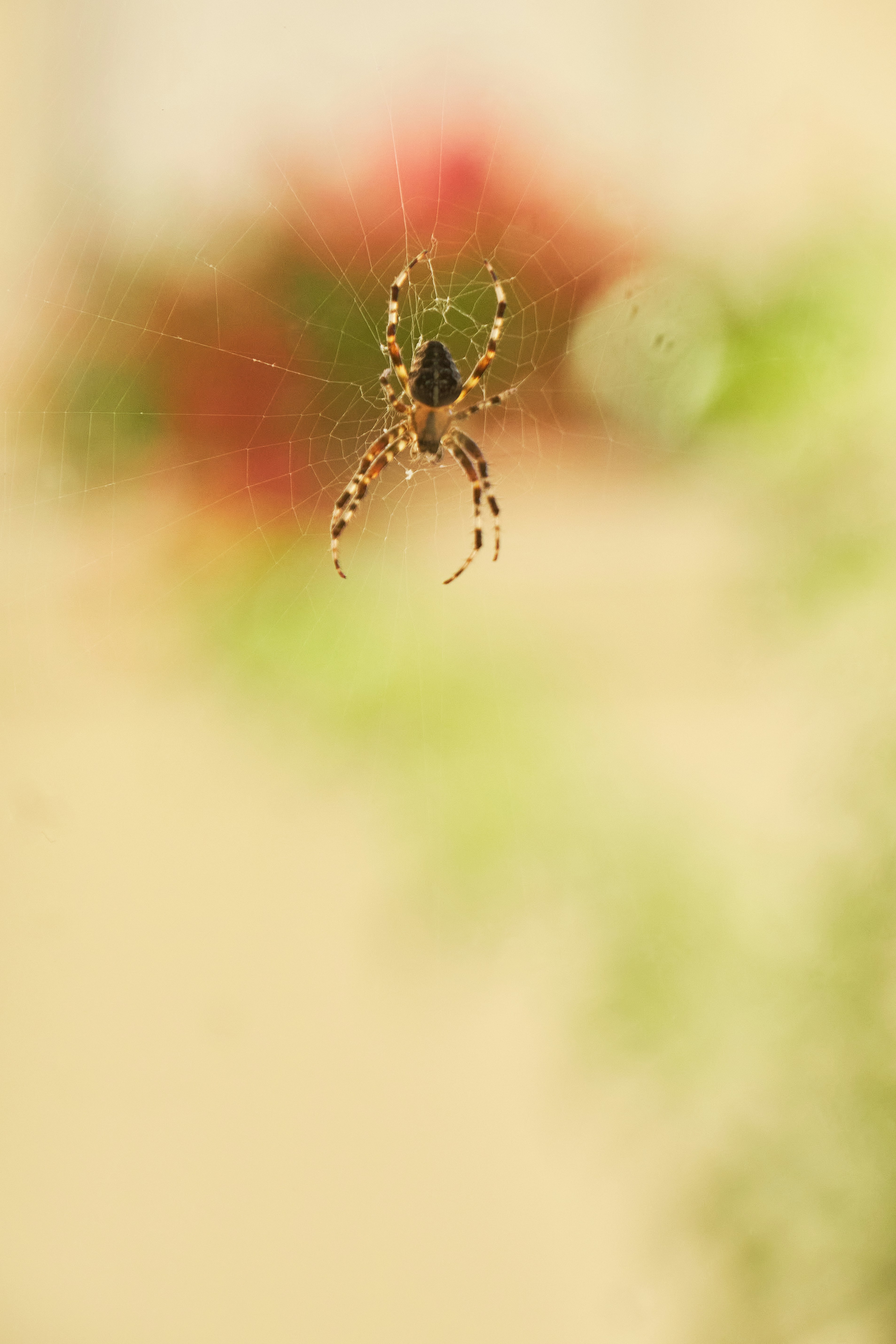 Photo by Kevin Martin Jose with Fujifilm X-T100