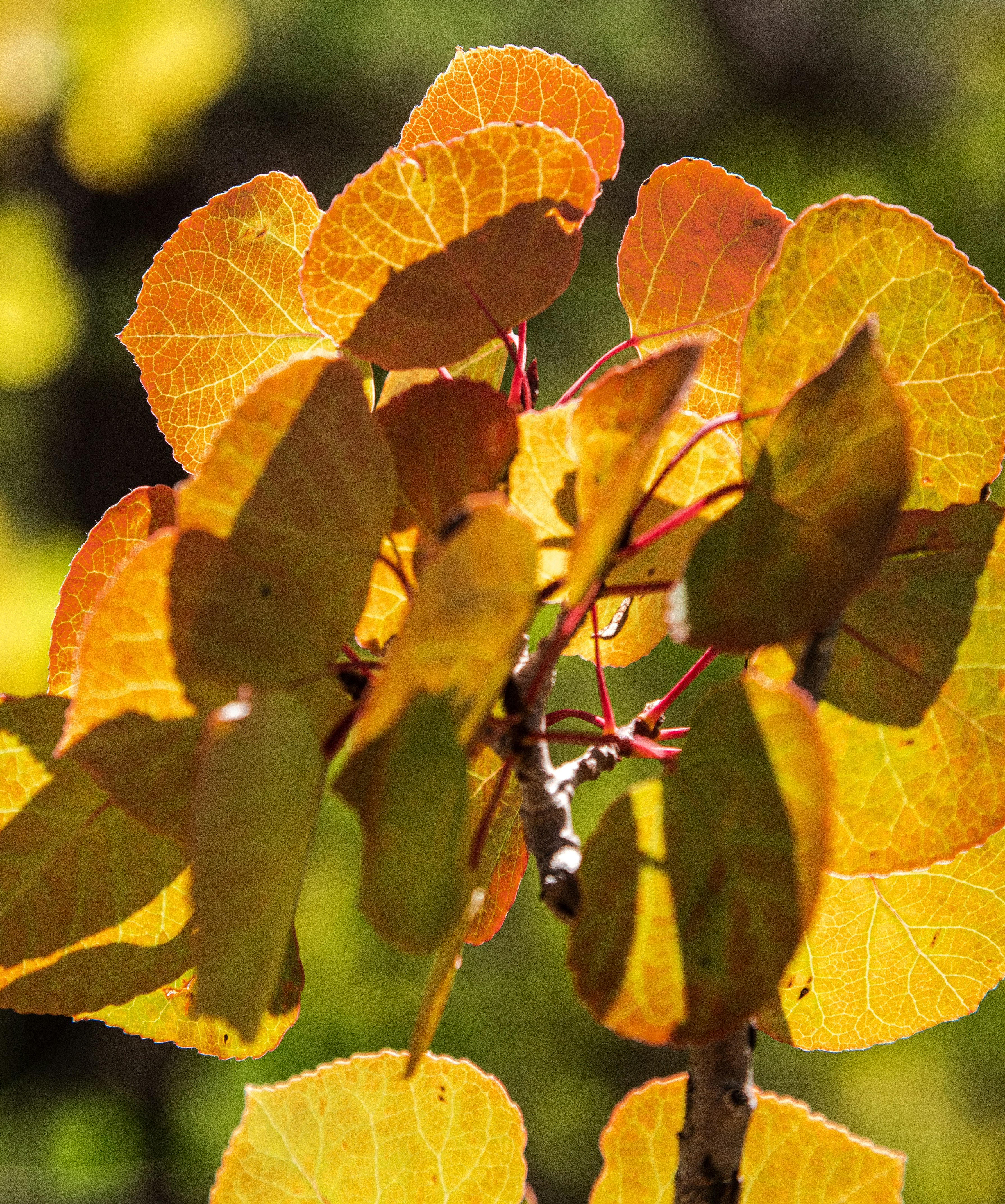 Aaron Huber (@aahubs) | Unsplash Photo Community