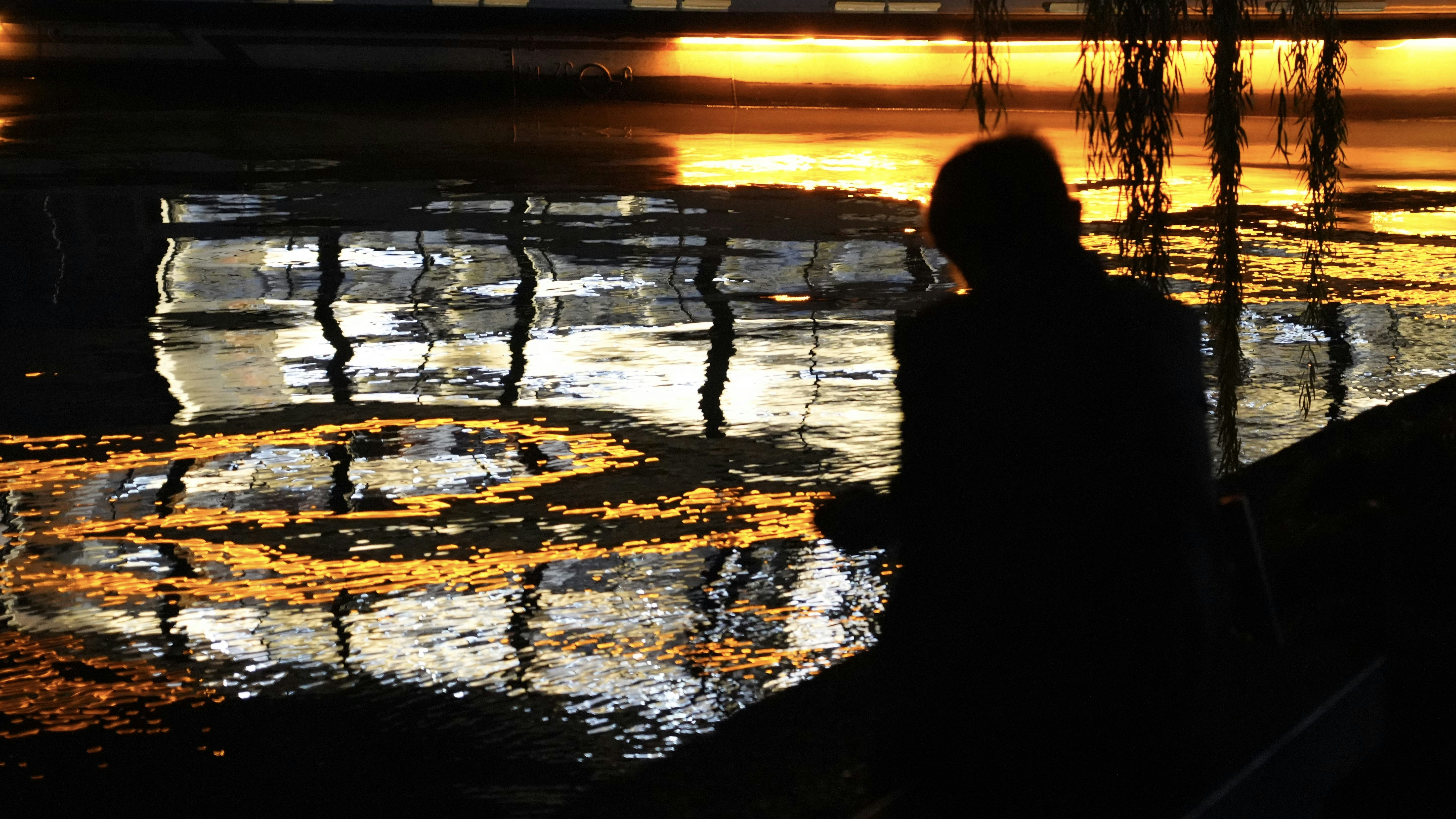 Silhouette at Dusk Over a Field of Golden Ripples