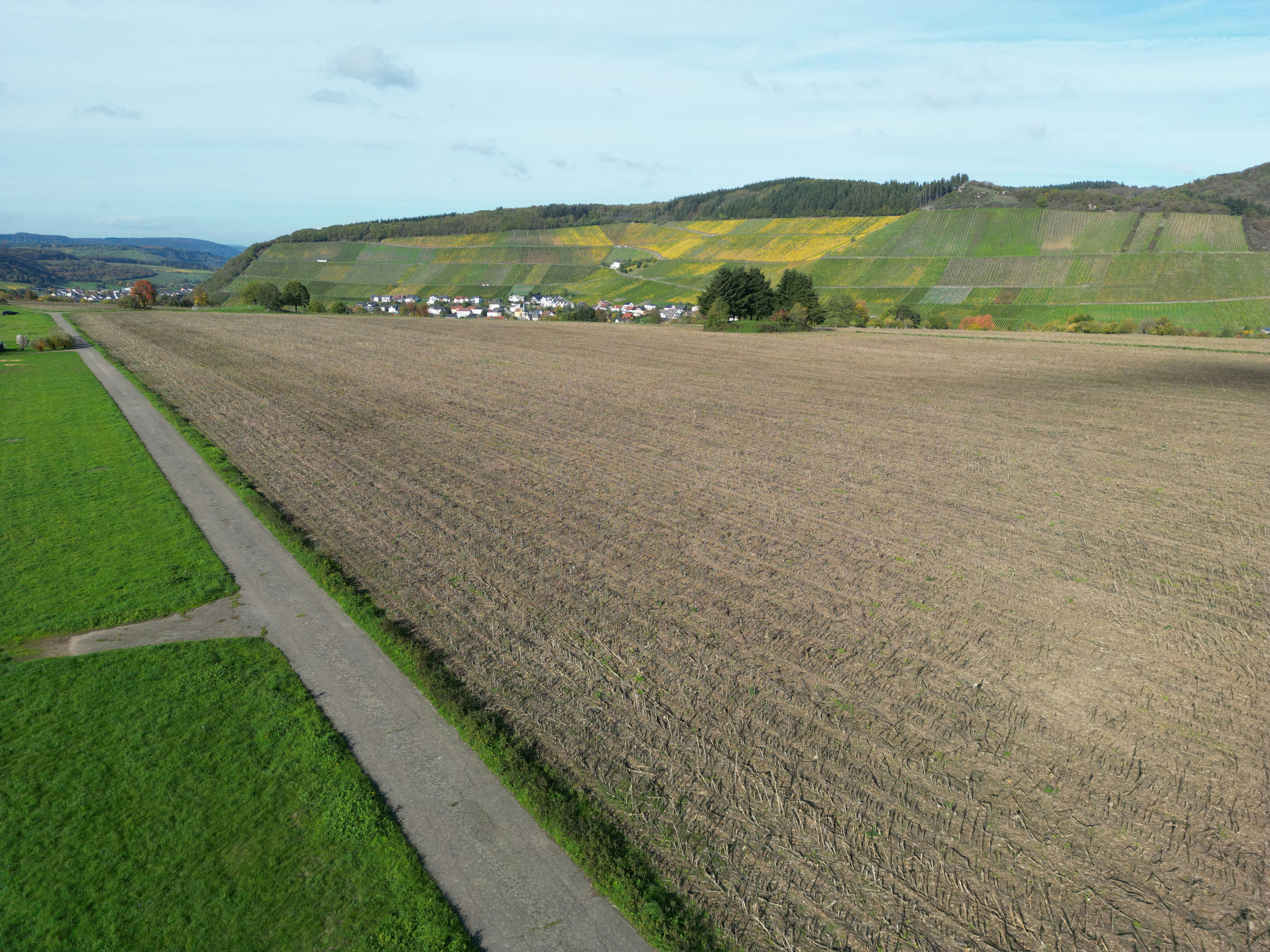 Patchwork Hills: A Quiet Village Framed by a Diagonal Field Road